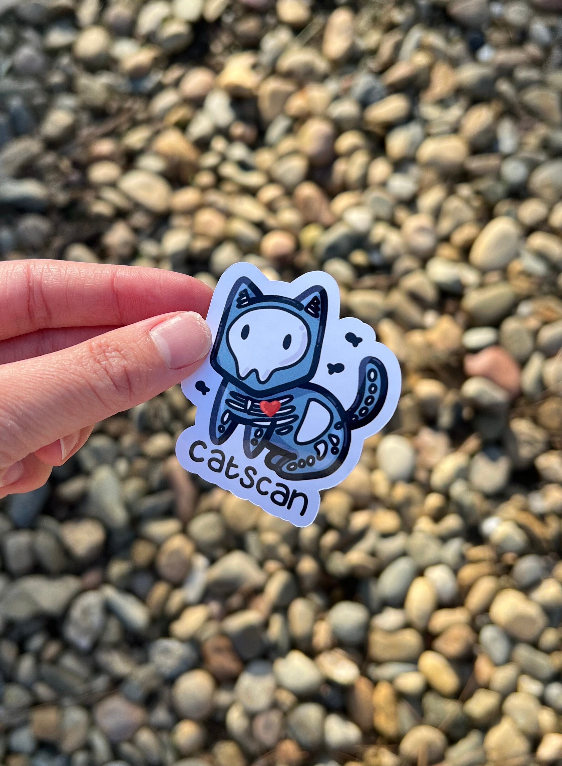 Catscan Cute X-ray Cat Vinyl Water Resistant Sticker - Donation to RAD ...