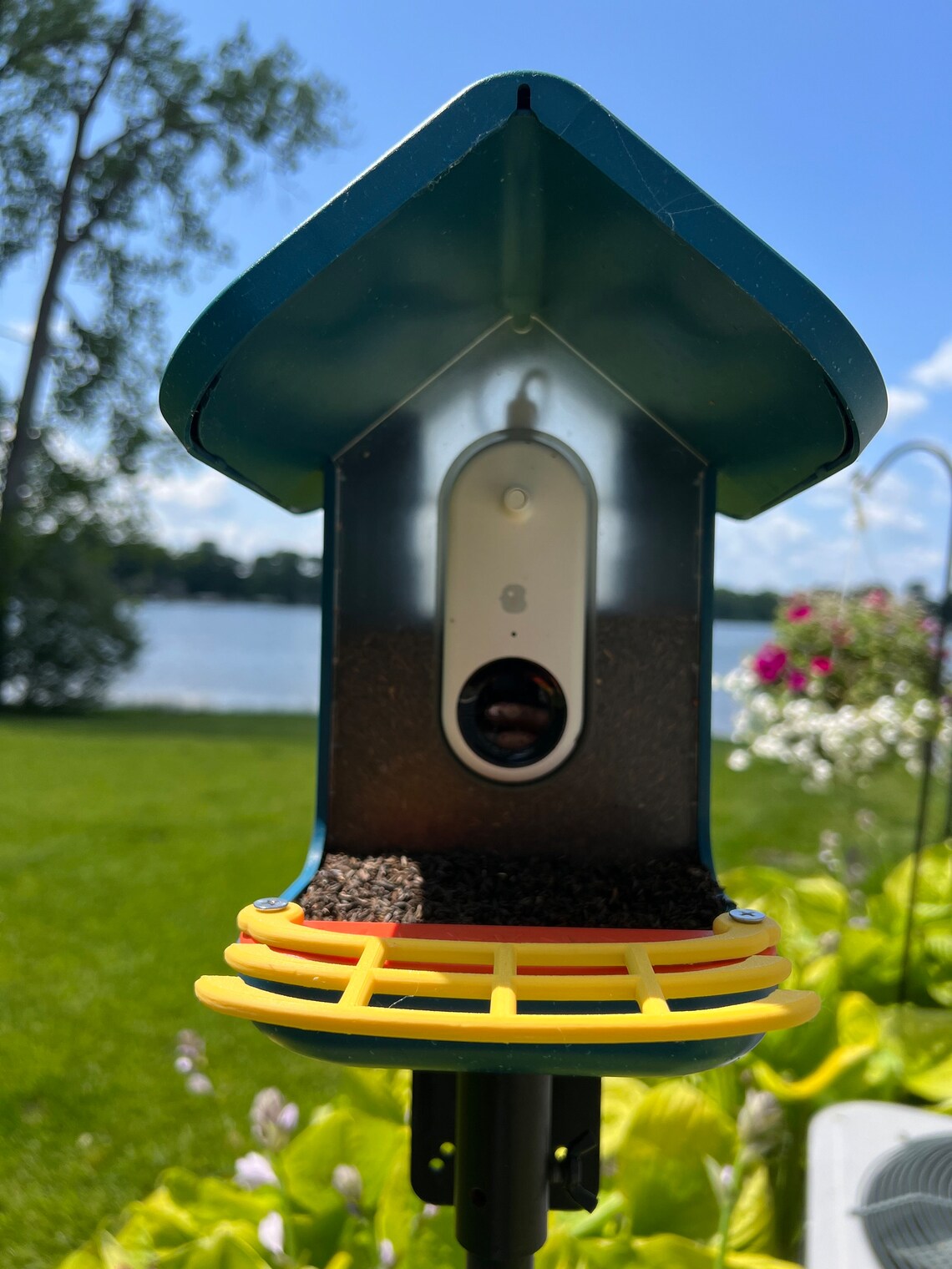 Curved Perch for Bird Buddy Feeder (yellow) - Etsy