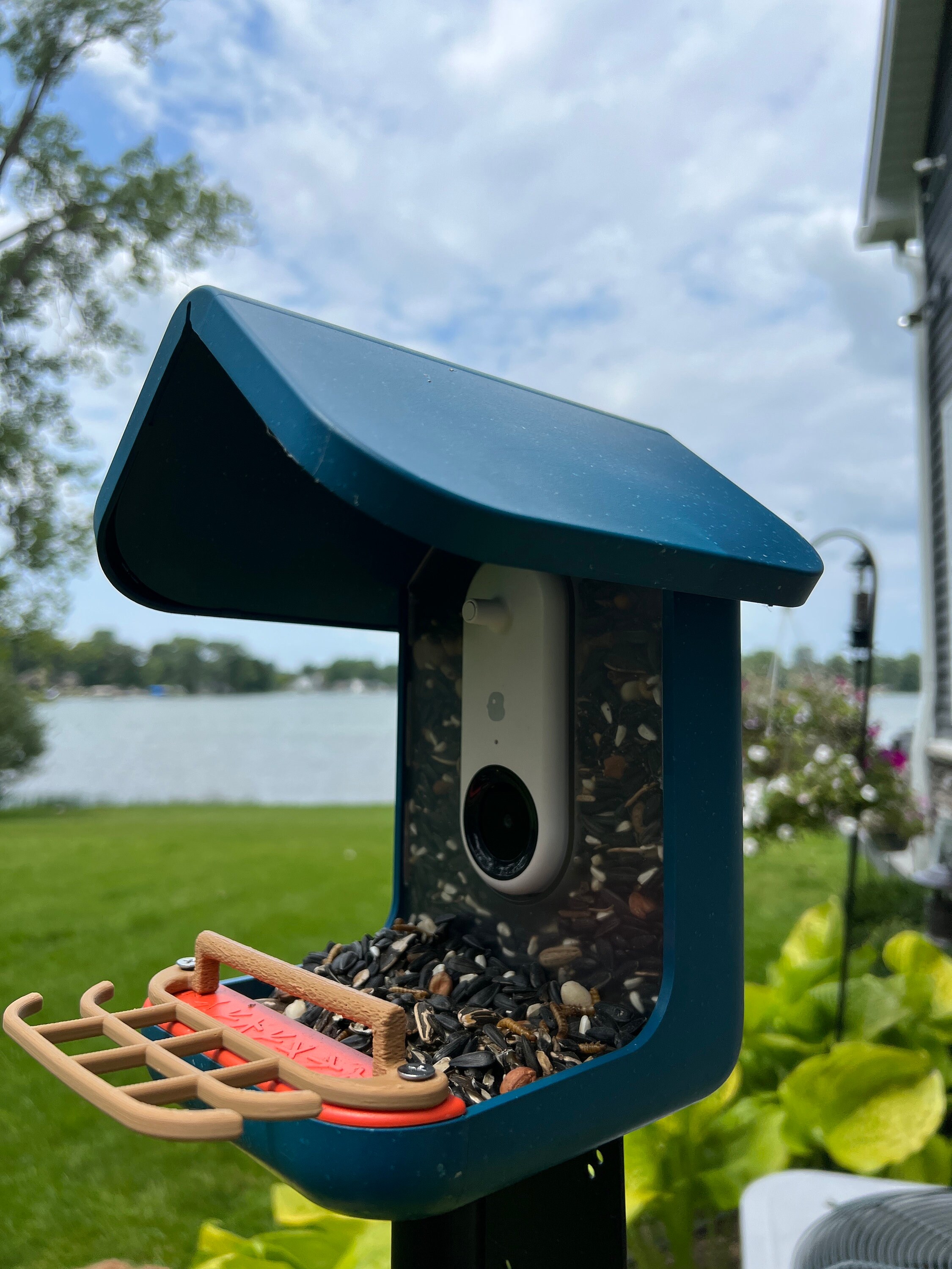 Double Perch for Bird Buddy Feeder (tan) - Etsy