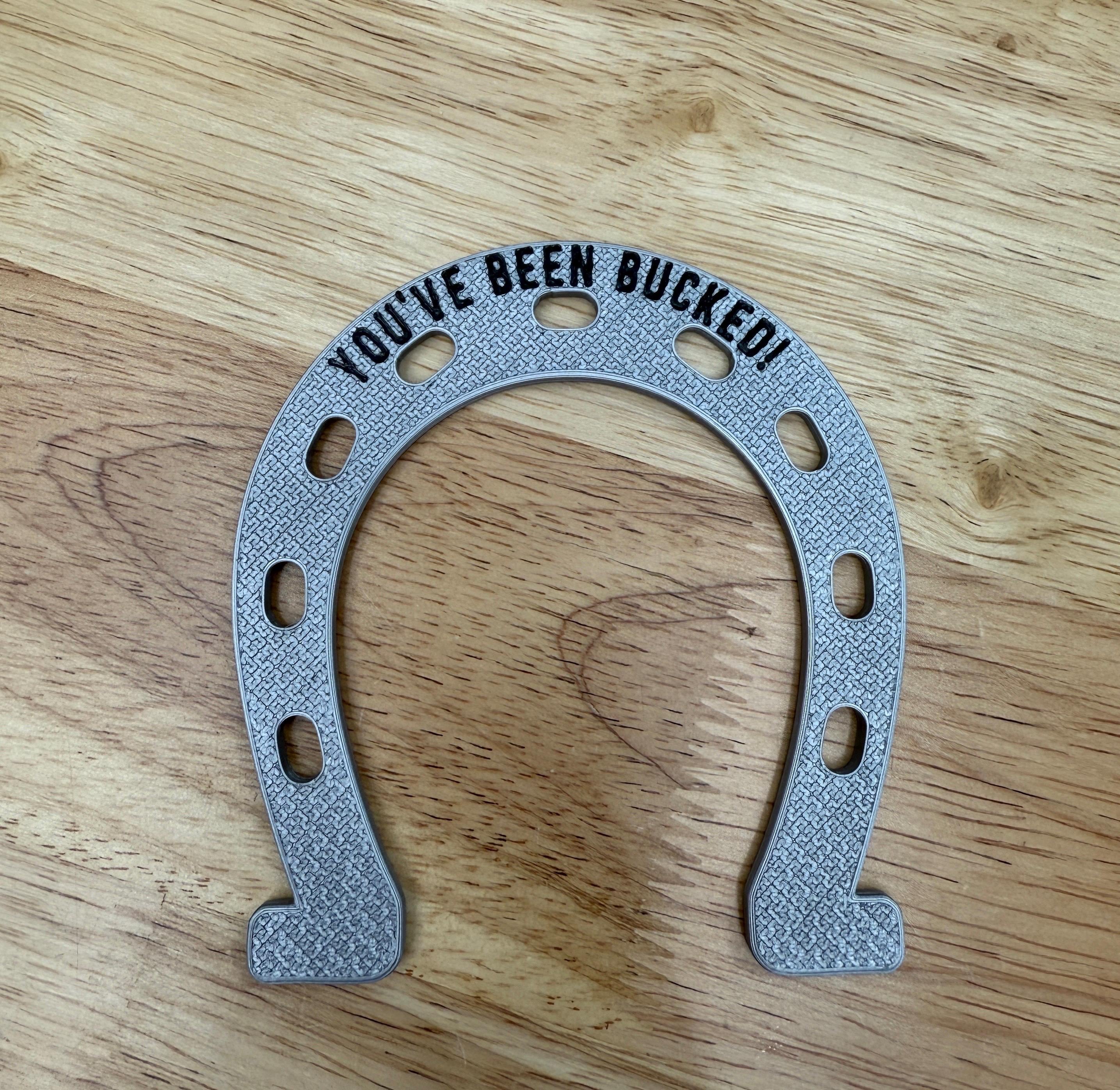 You’ve Been Bucked Set of 10 Horseshoes for Bronco Fans (silver) - Etsy