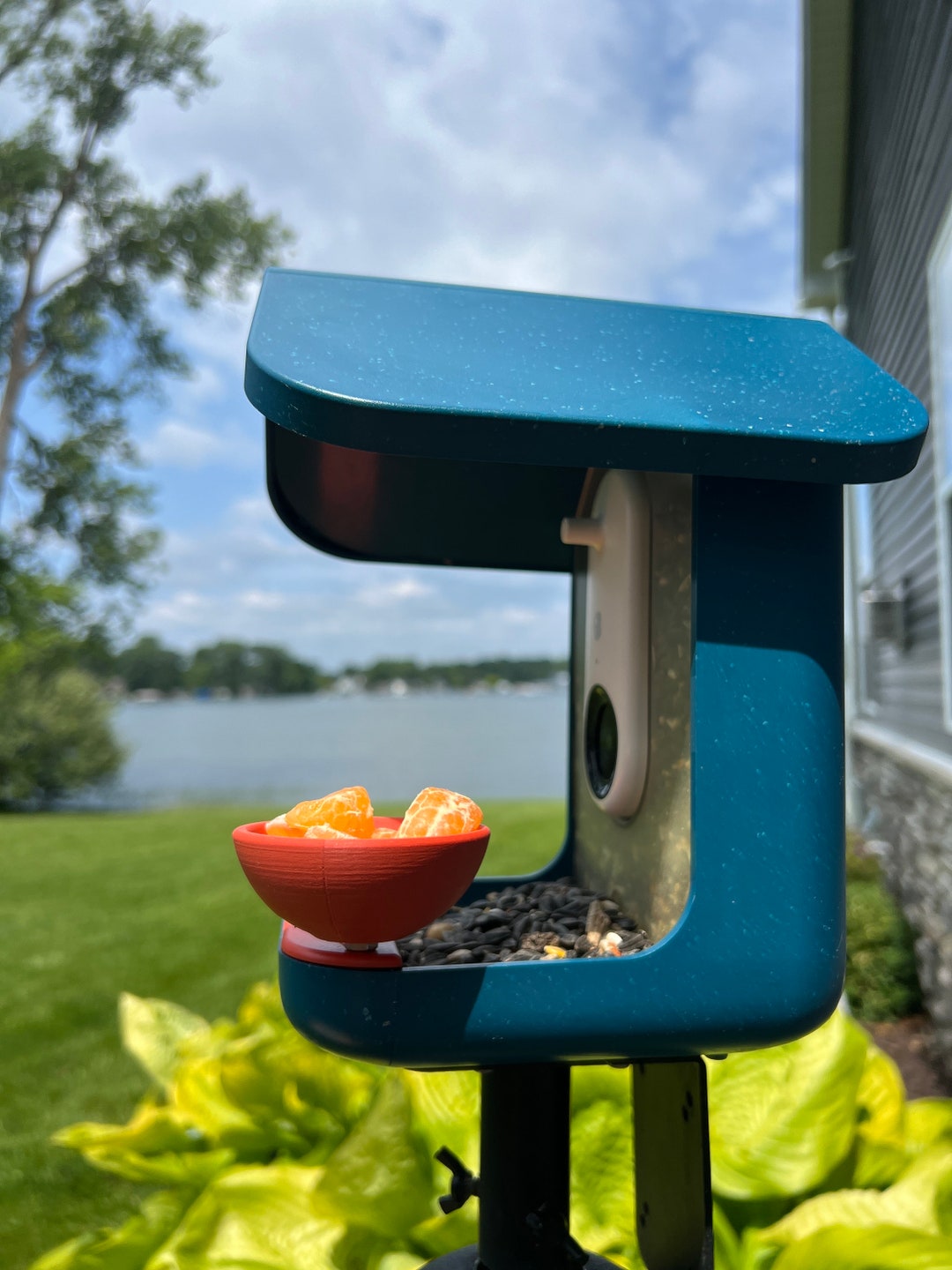 Fruit Jelly Nut Bowl for Bird Buddy Feeder (dark Orange) - Etsy