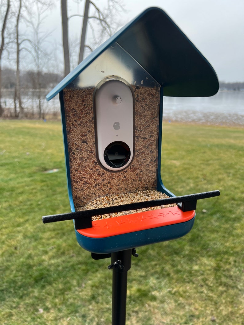 Bird Buddy Perch With Wood Grain Texture in Black - Etsy
