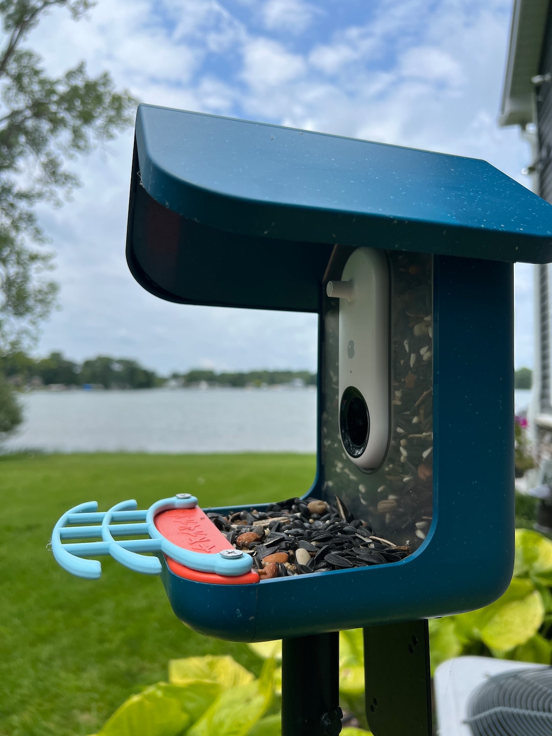 Curved Perch for Bird Buddy Feeder (light Blue) - Etsy