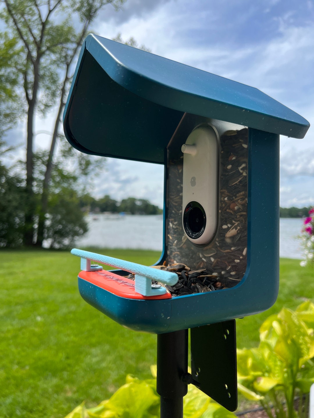 Perch With Wood Grain Texture for Bird Buddy Feeder light Blue - Etsy
