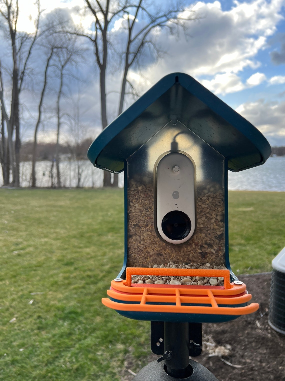 Double Perch for Bird Buddy Feeder (bright Orange) - Etsy