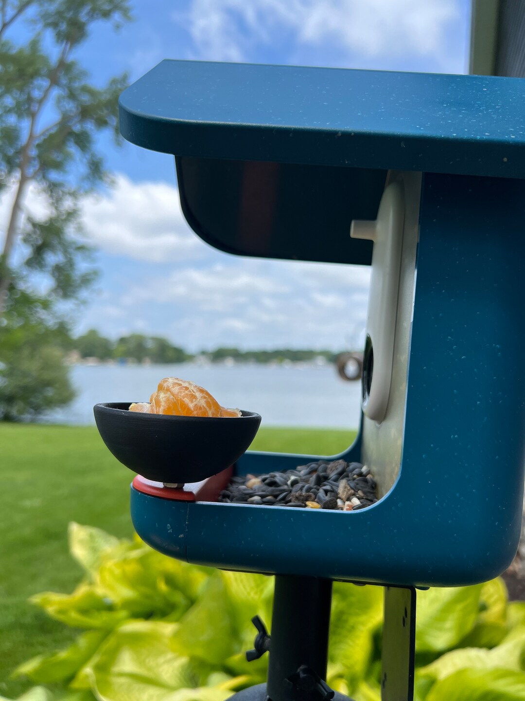 Fruit Jelly Nut Bowl for Bird Buddy Feeder (black) - Etsy