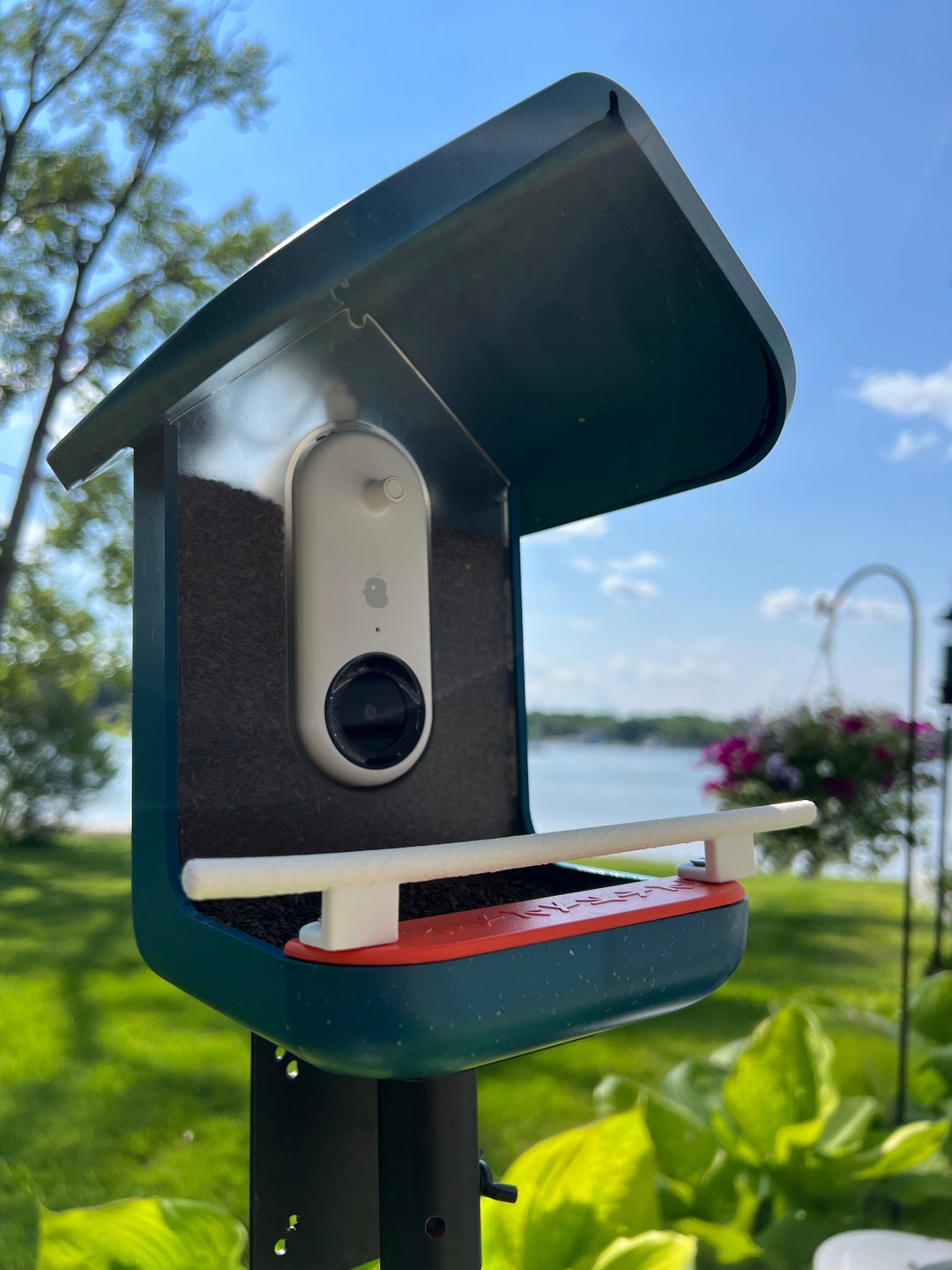 Bird Buddy Perch With Wood Grain Texture in White - Etsy