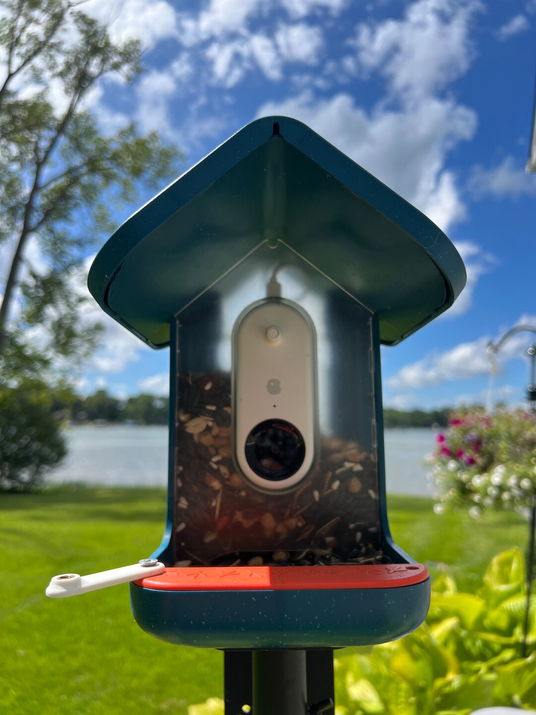 Bird Buddy Suet Ball Extender white - Etsy