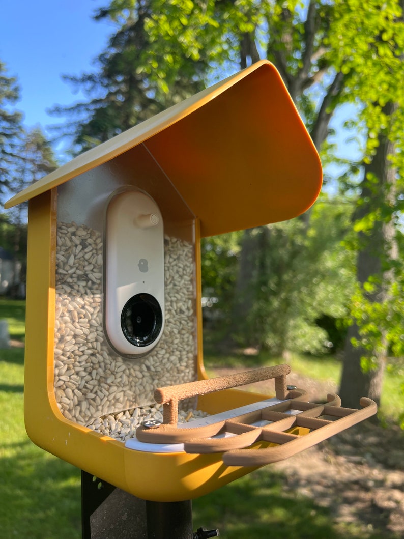 Double Perch for Bird Buddy Feeder (tan) - Etsy