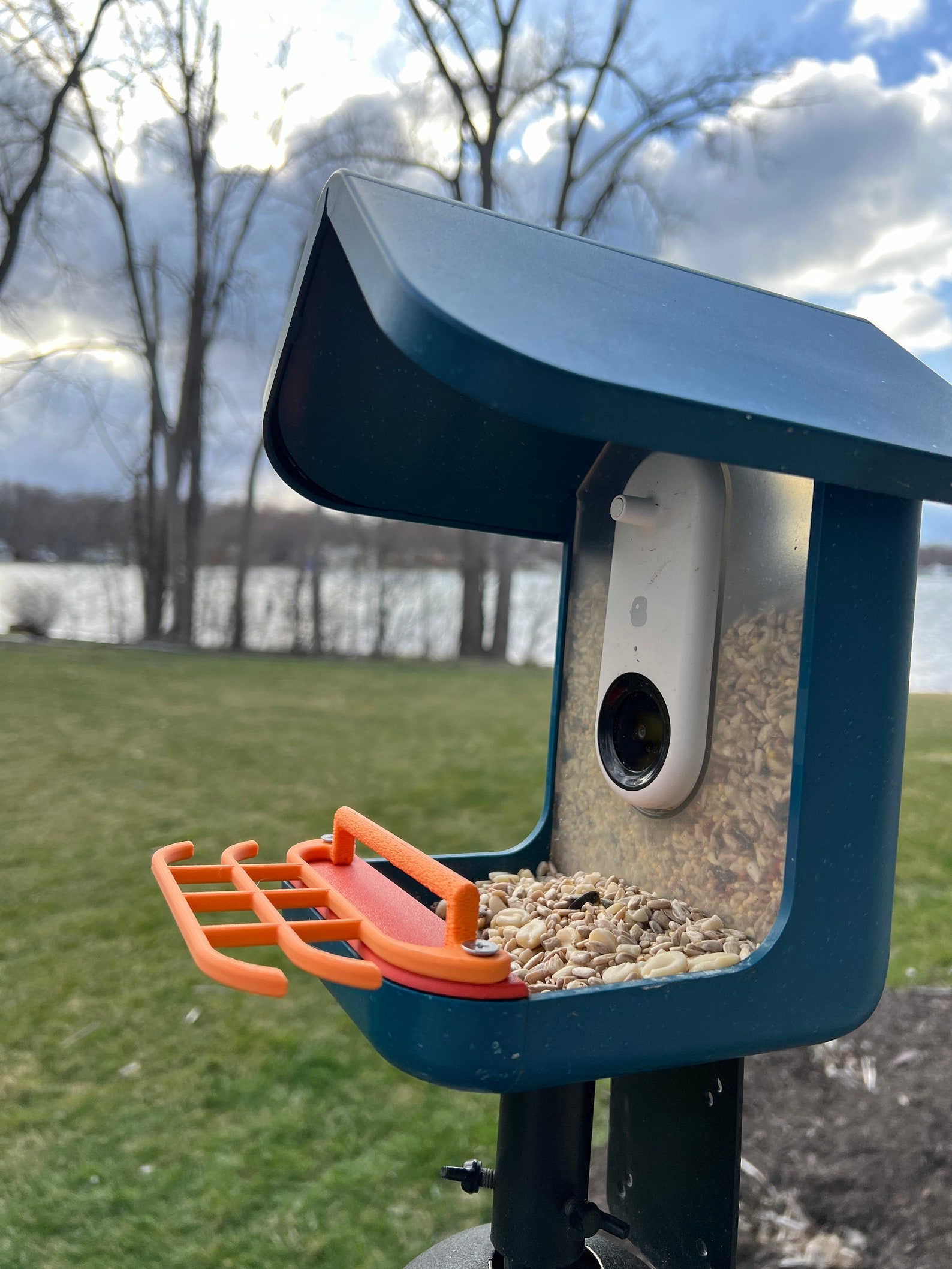 Double Perch for Bird Buddy Feeder (bright Orange) - Etsy
