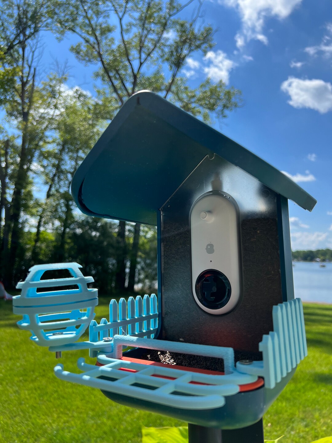 Ultimate Bird Buddy Accessory Package light Blue - Etsy