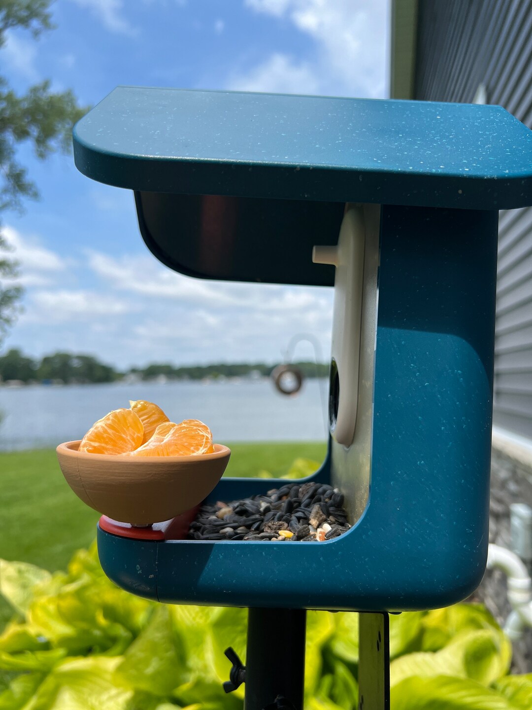 Fruit Jelly Nut Bowl for Bird Buddy Feeder (tan) - Etsy
