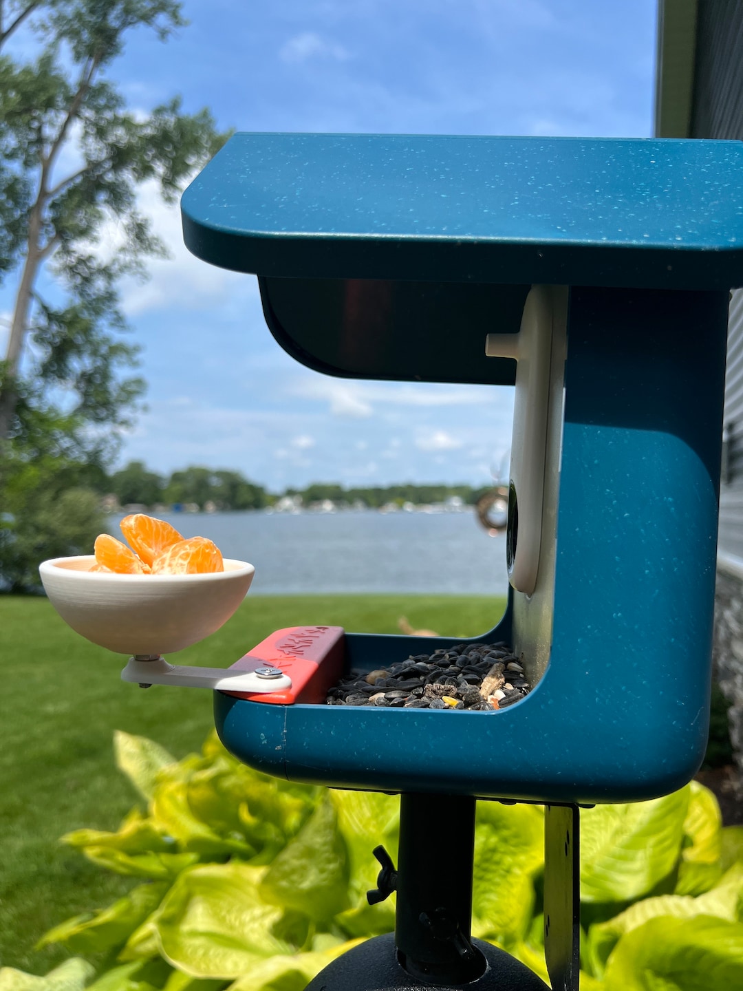 Bird Buddy Fruit Jelly Nut Bowl With Extender white - Etsy