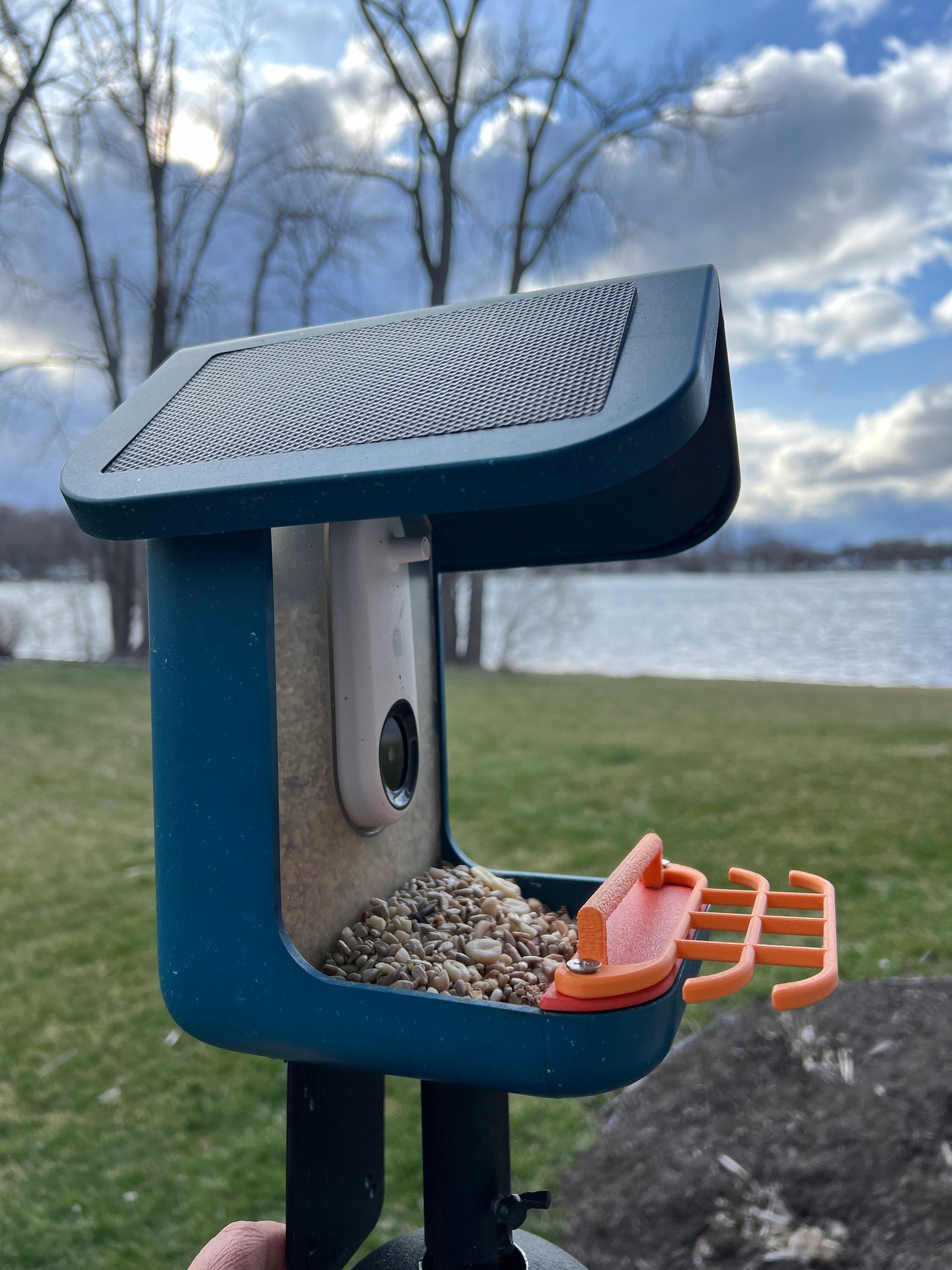 Double Perch for Bird Buddy Feeder (bright Orange) - Etsy