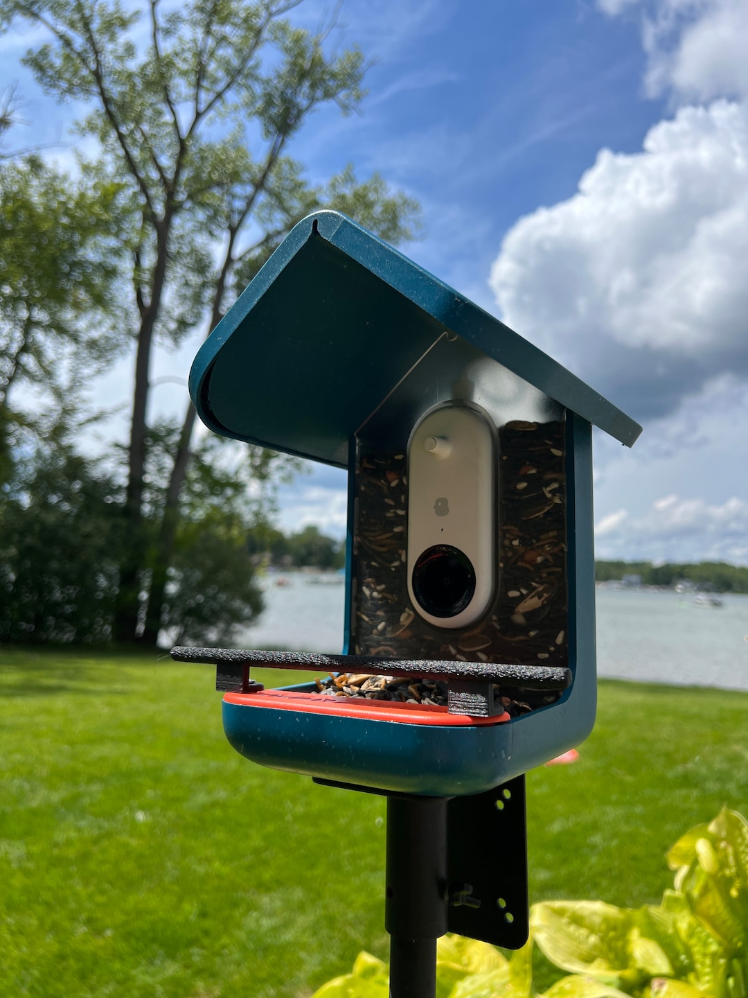 Straight Perch With Wood Grain Texture for Bird Buddy Feeder (black) - Etsy