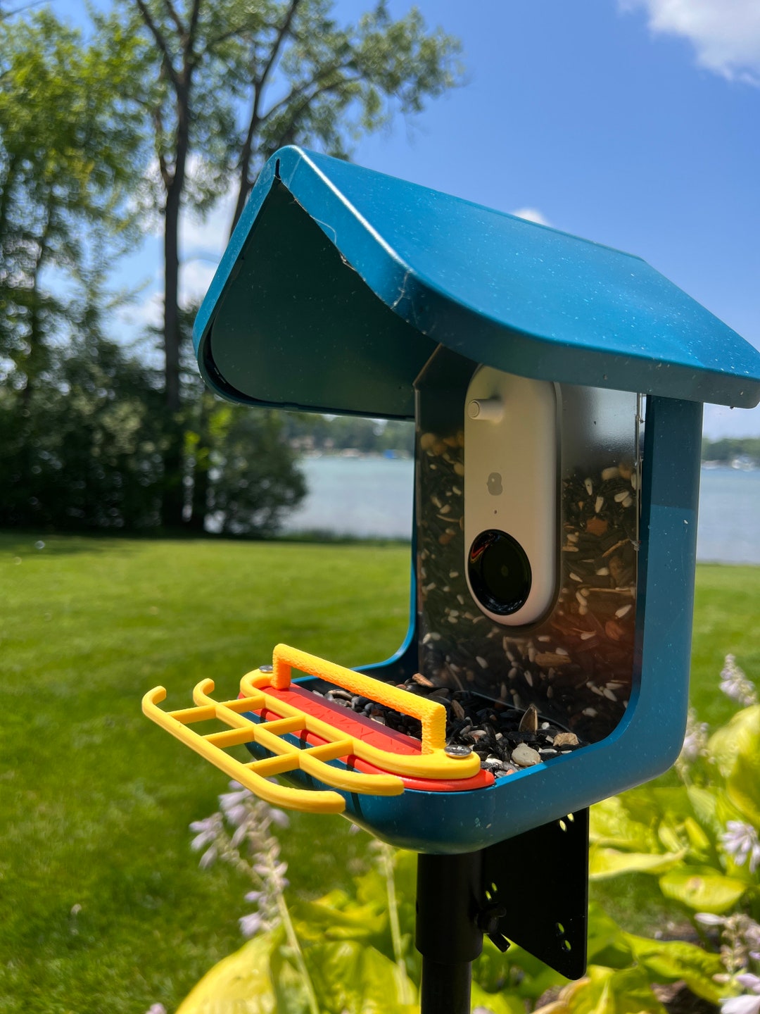 Double Perch for Bird Buddy Feeder (yellow) - Etsy