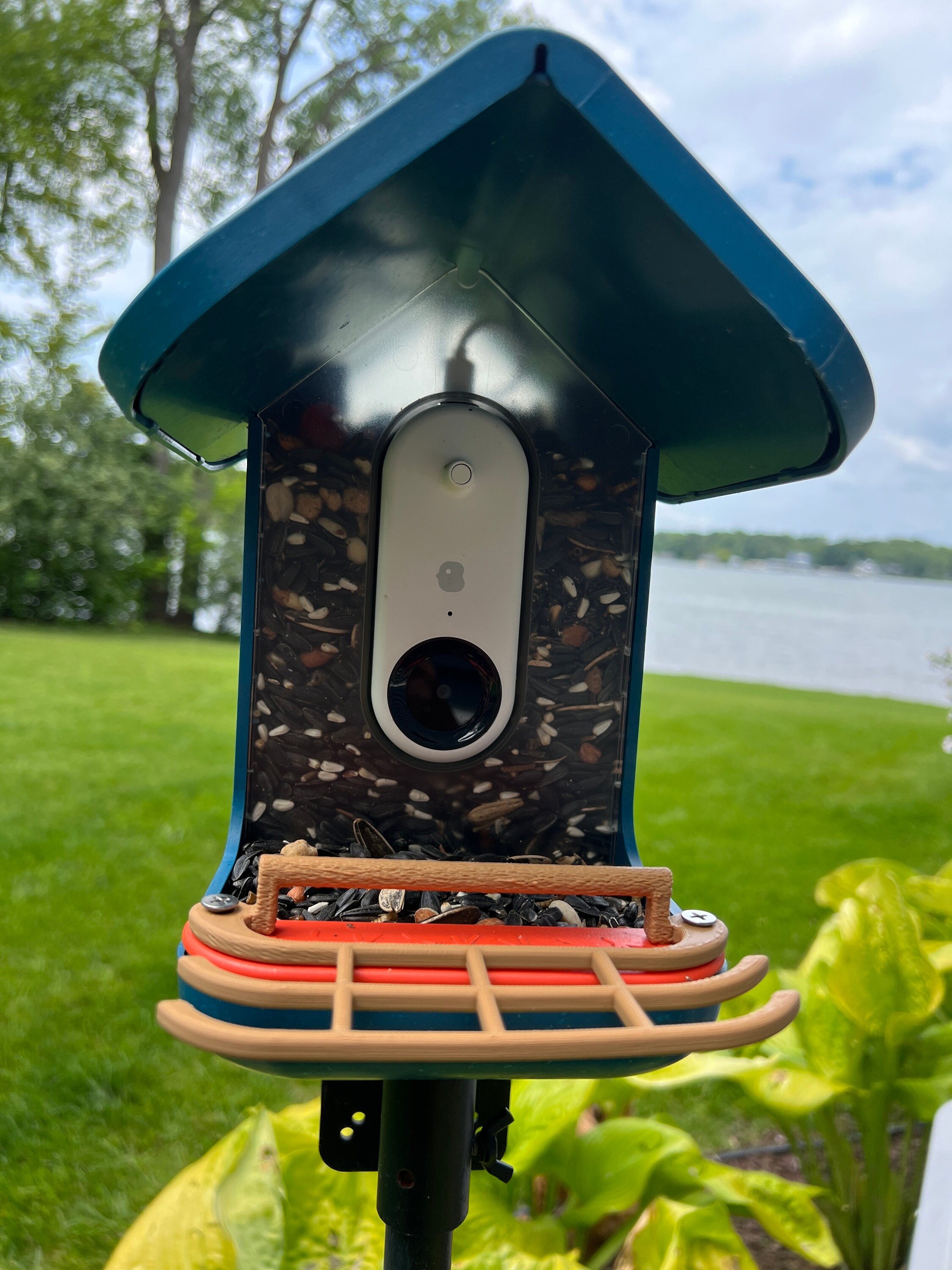 Double Perch for Bird Buddy Feeder (tan) - Etsy
