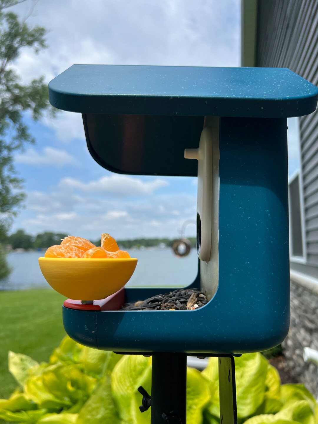 Fruit Jelly Nut Bowl for Bird Buddy Feeder (yellow) - Etsy