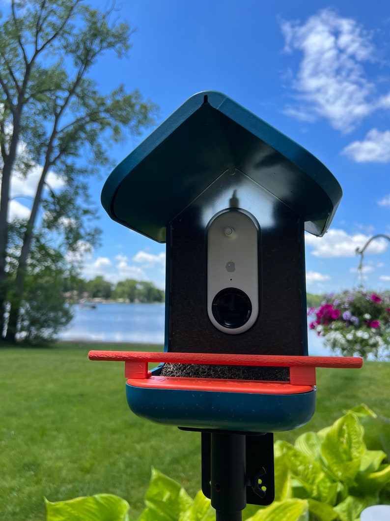 Straight Perch With Wood Grain Texture for Bird Buddy Feeder (dark ...