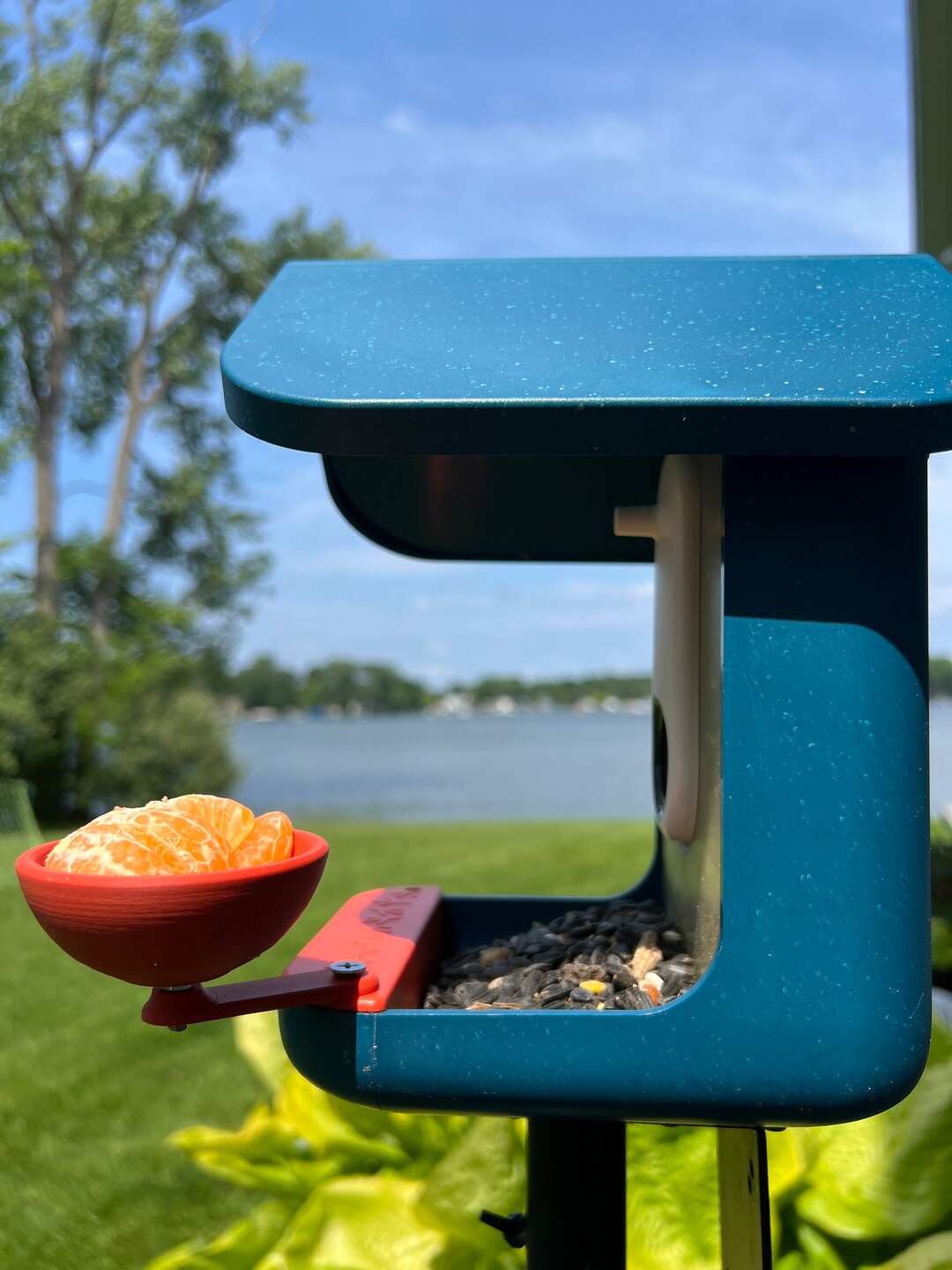 Bird Buddy Fruit Jelly Nut Bowl With Extender dark Orange - Etsy