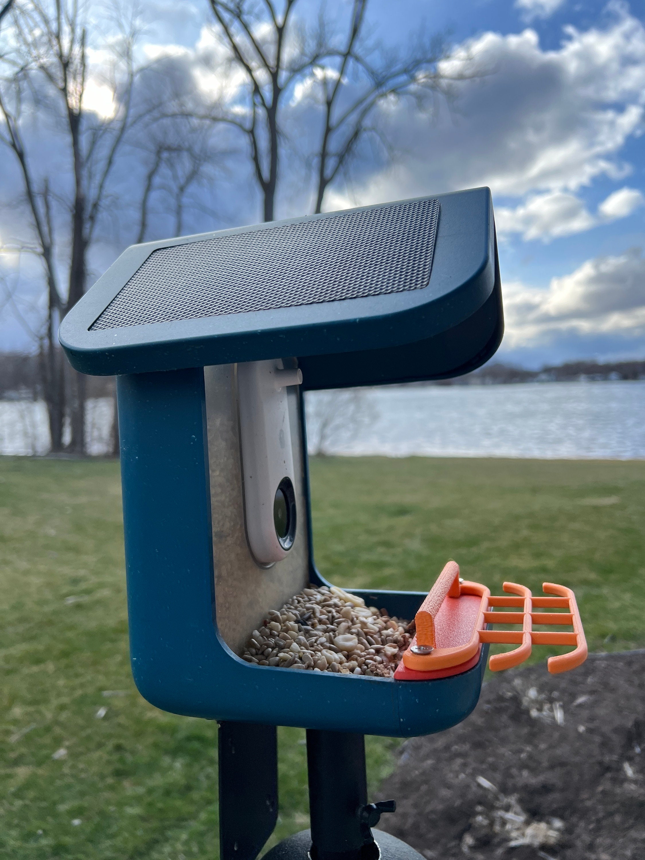 Double Perch for Bird Buddy Feeder (bright Orange) - Etsy