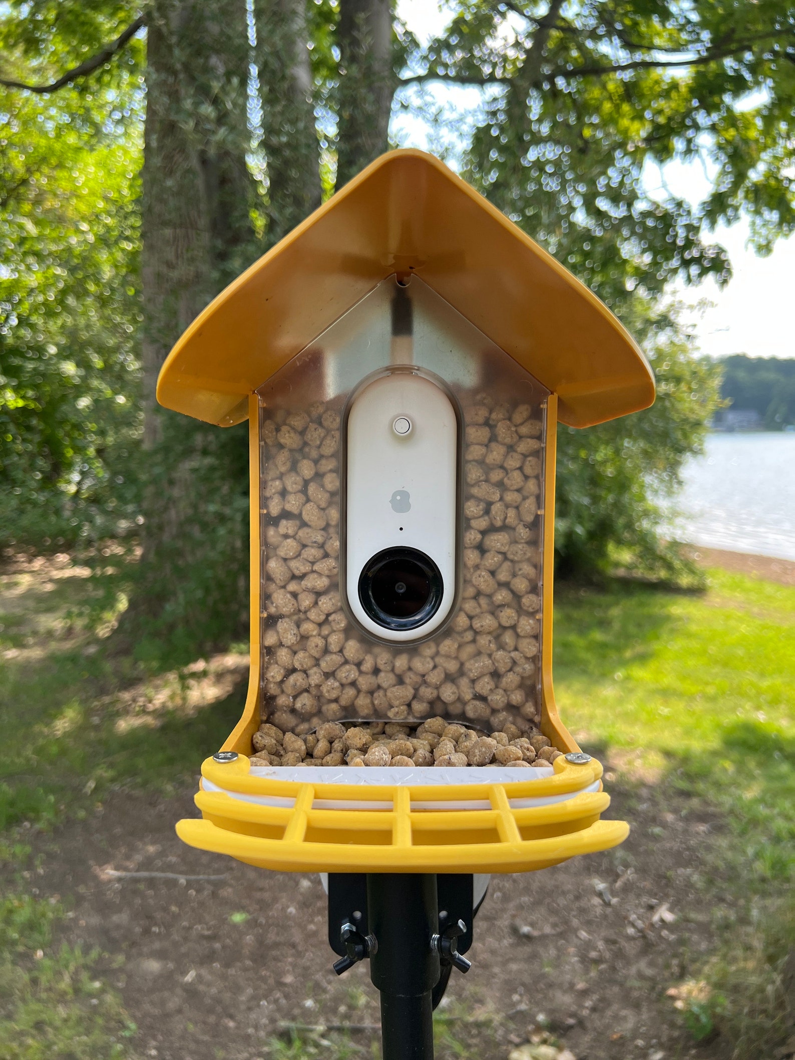 Curved Perch for Bird Buddy Feeder (yellow) - Etsy