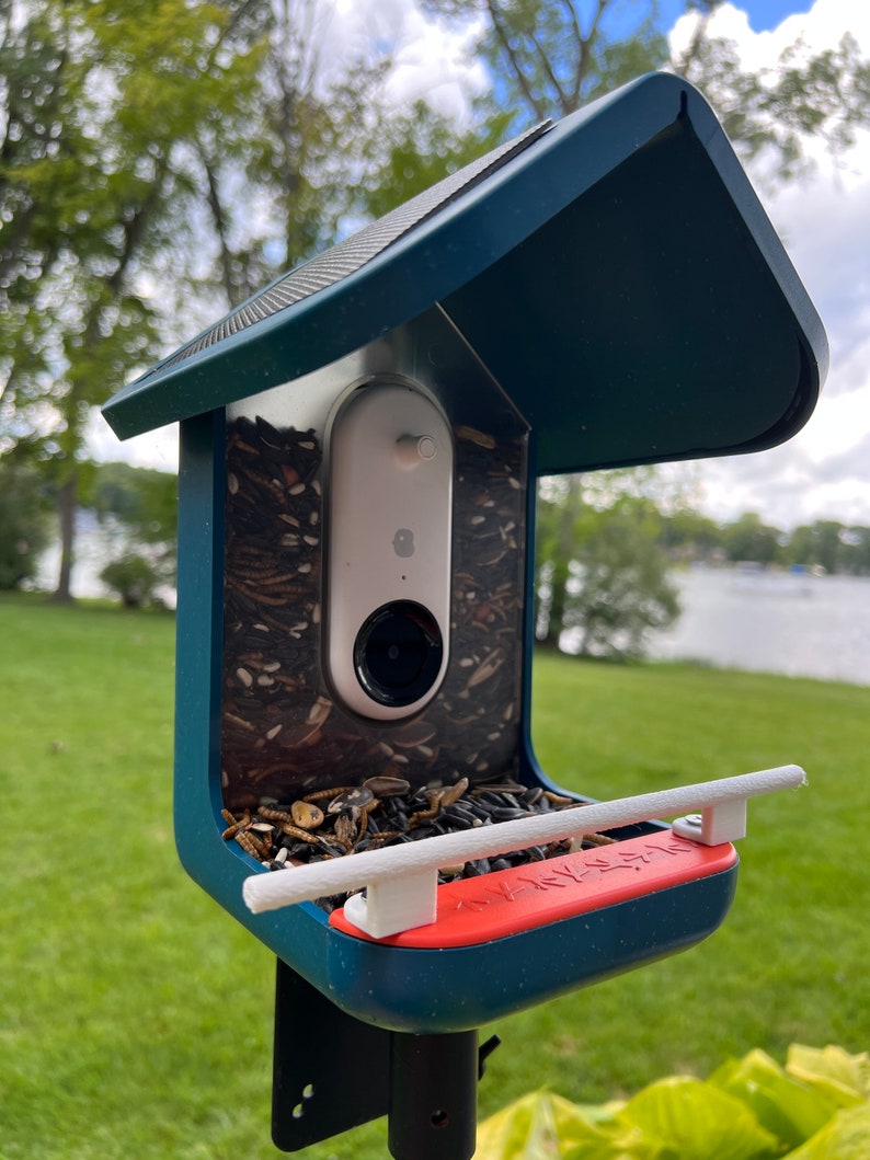 Straight Perch With Wood Grain Texture for Bird Buddy Feeder (white) - Etsy