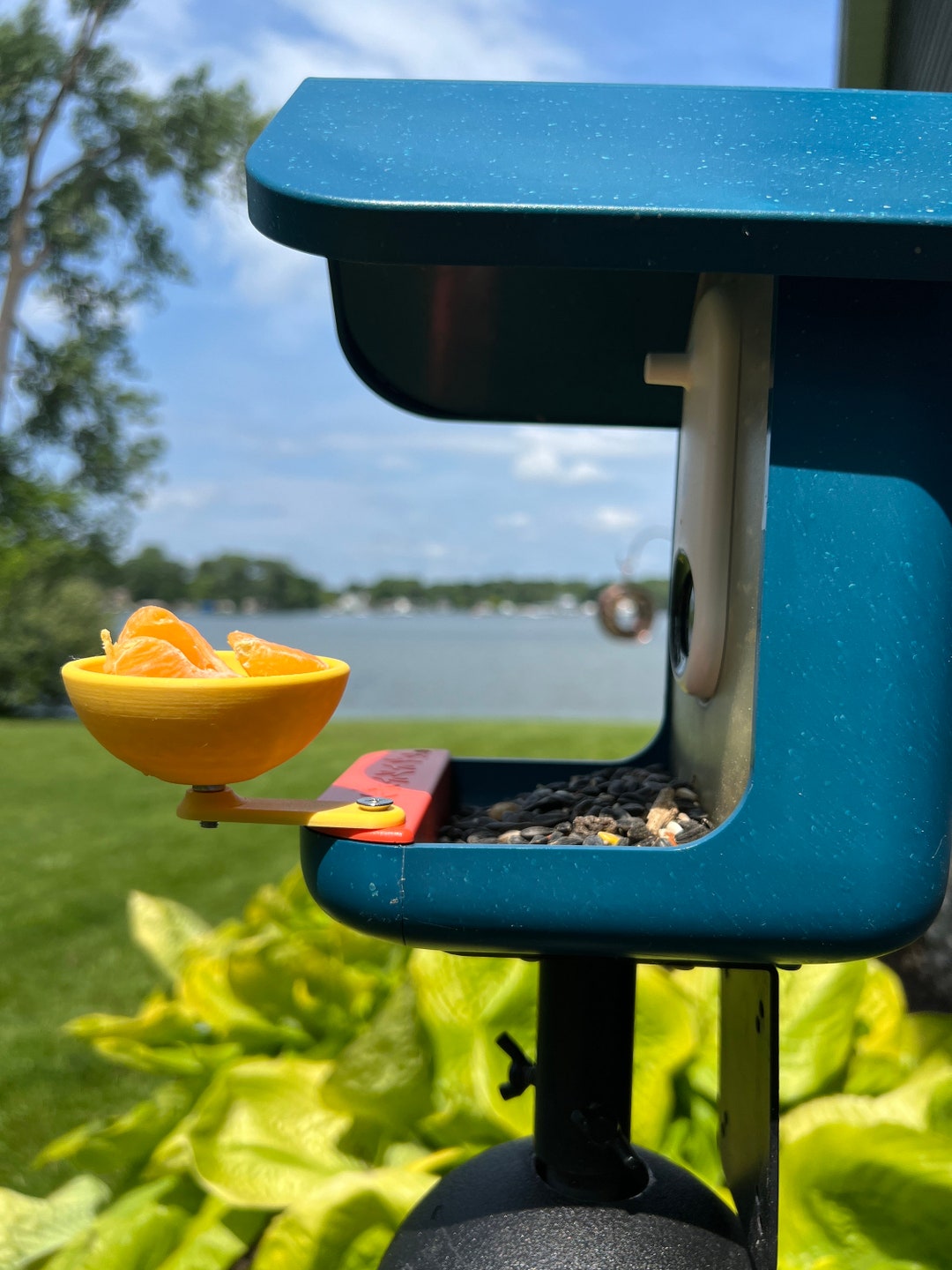 Bird Buddy Fruit Jelly Nut Bowl With Extender yellow - Etsy