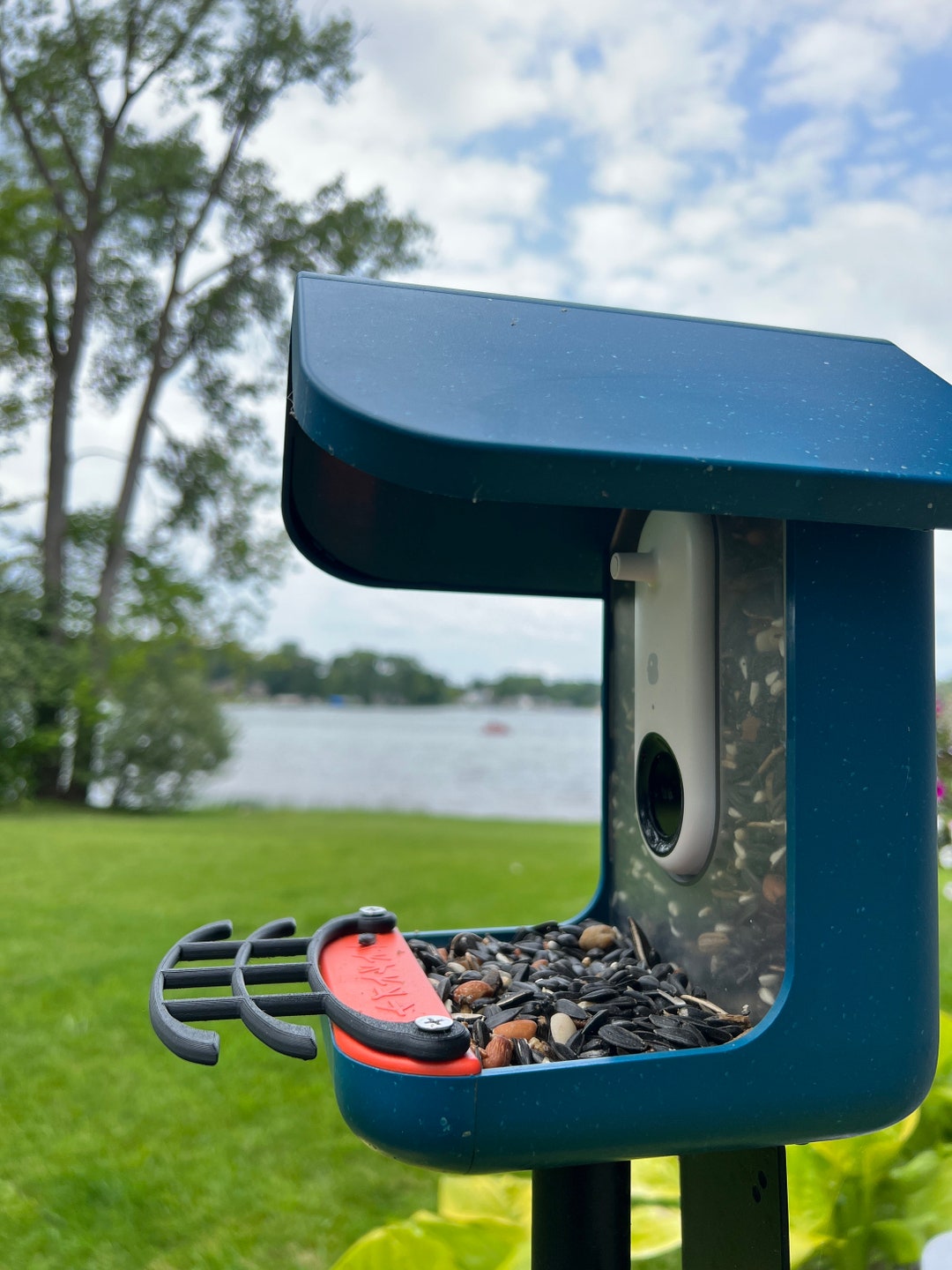 Curved Perch for Bird Buddy Feeder (black) (black) - Etsy