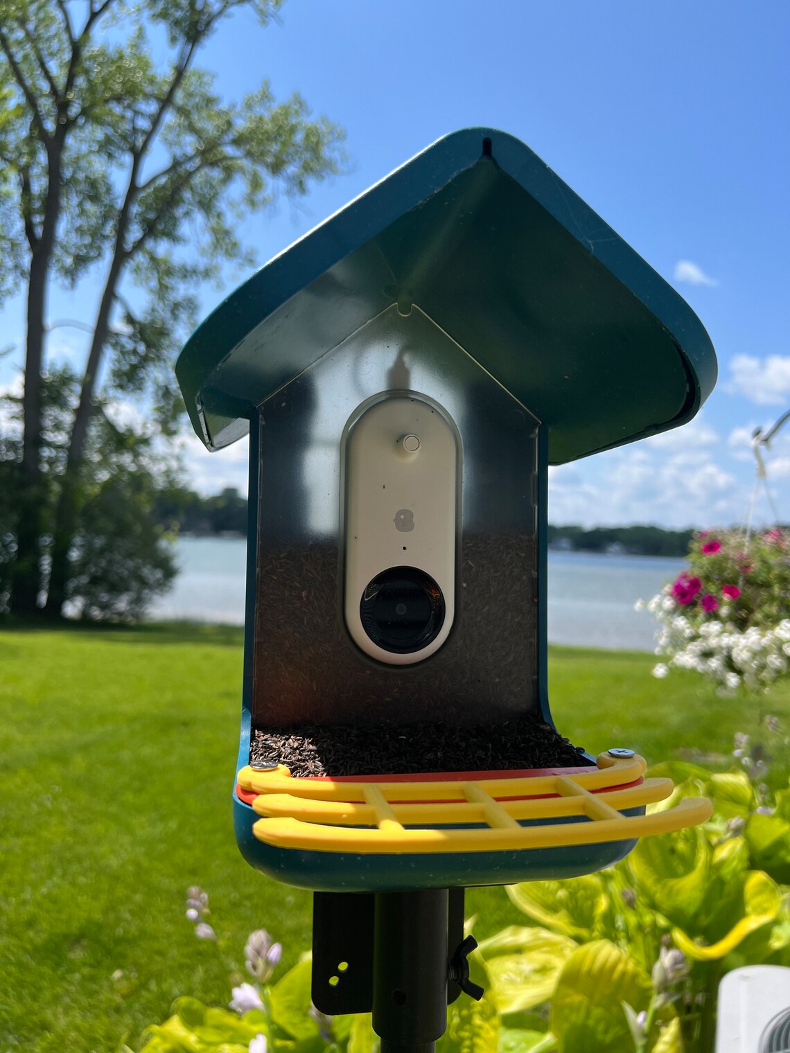 Curved Perch for Bird Buddy Feeder (yellow) - Etsy