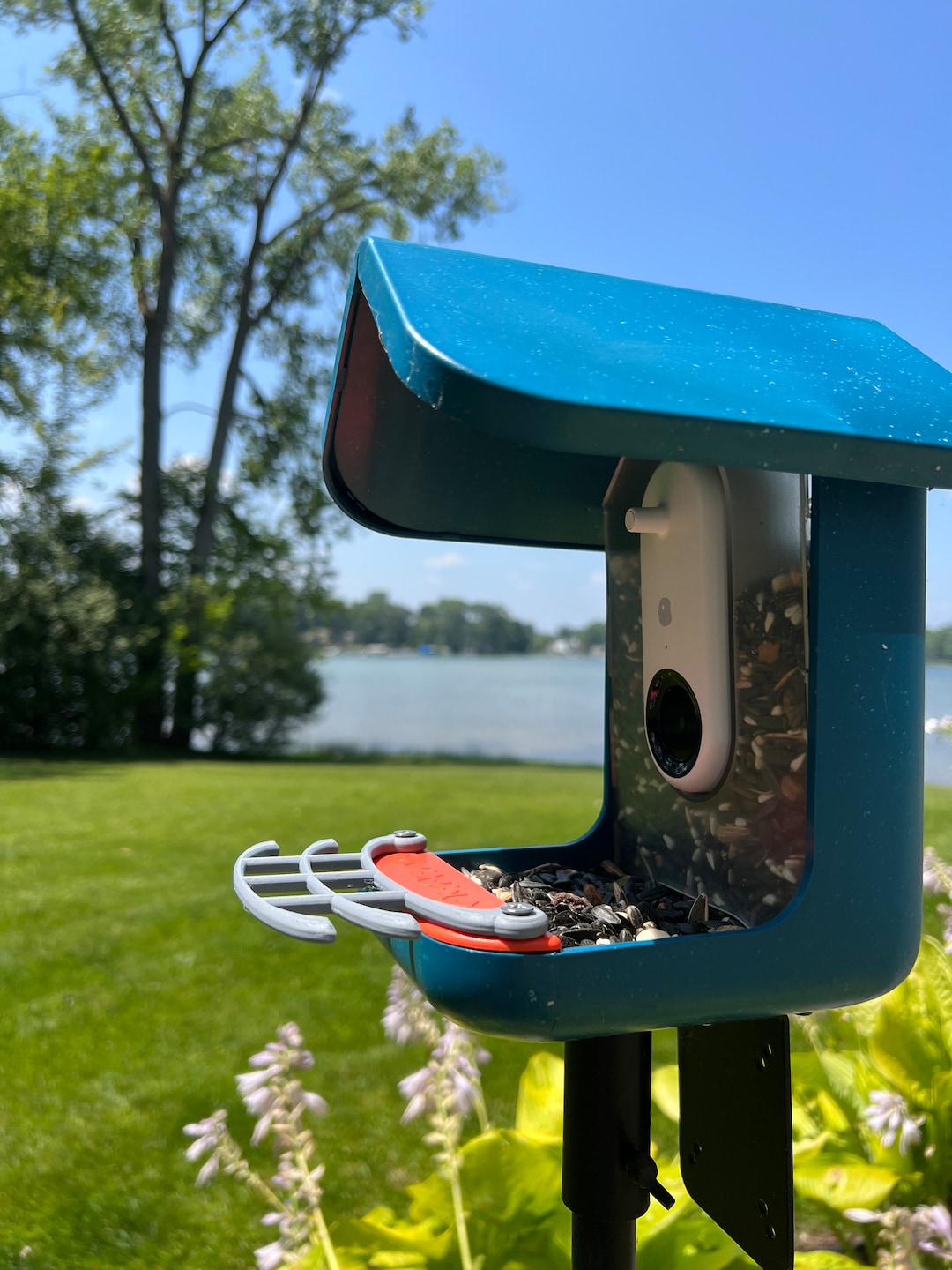 Curved Perch for Bird Buddy Feeder (gray) - Etsy