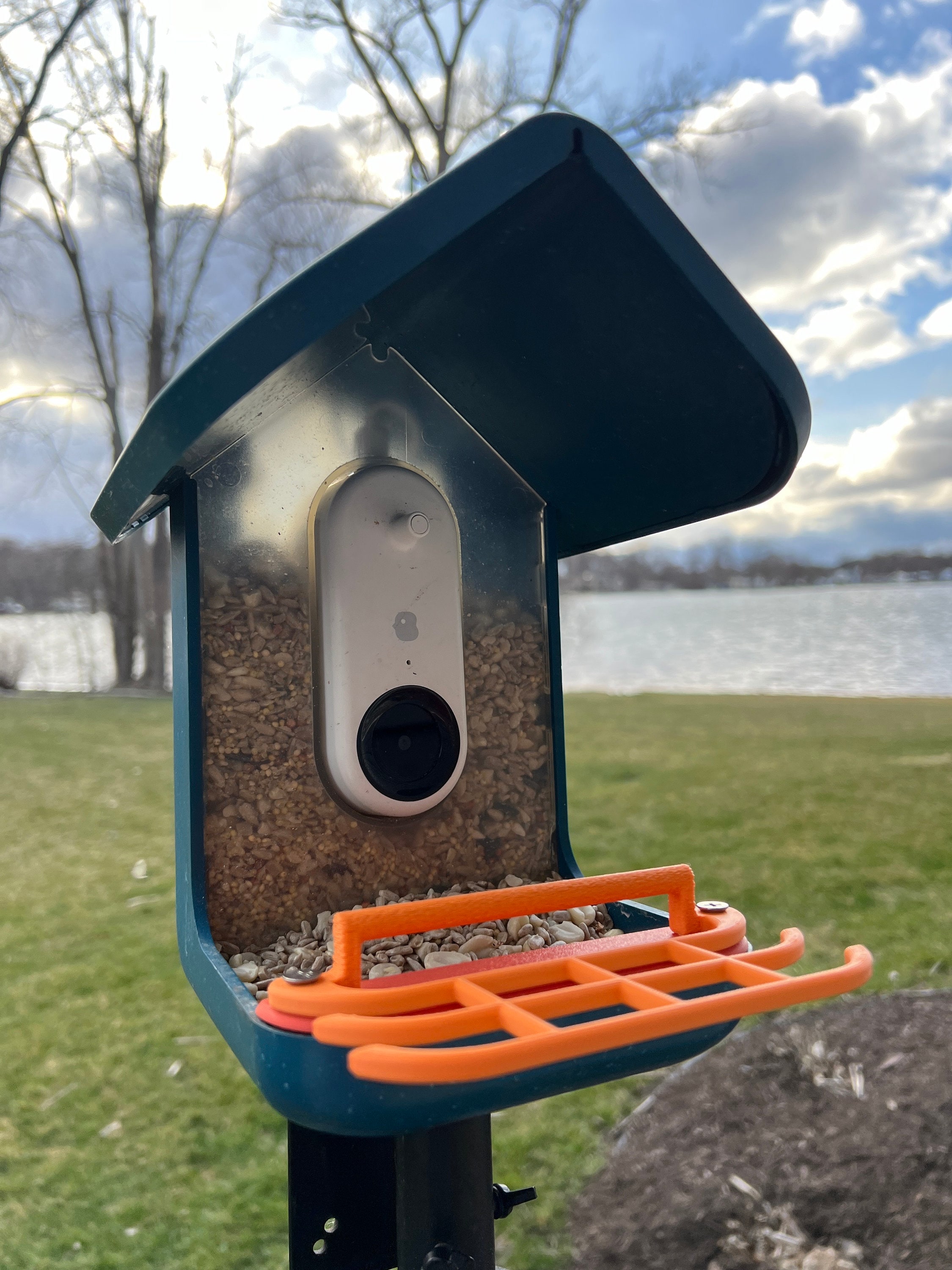 Double Perch for Bird Buddy Feeder (bright Orange) - Etsy