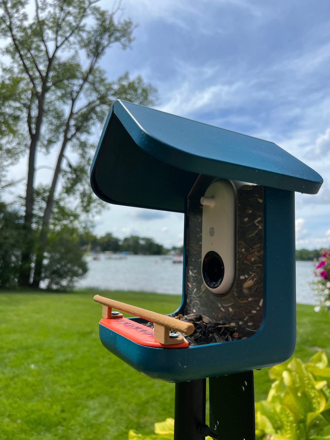 Bird Buddy Perch With Wood Grain Texture I - Etsy