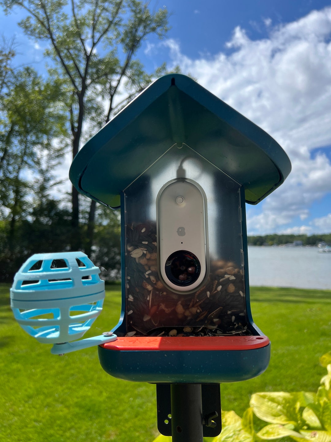 Suet Ball for Bird Buddy Feeder With Extender (light Blue) - Etsy