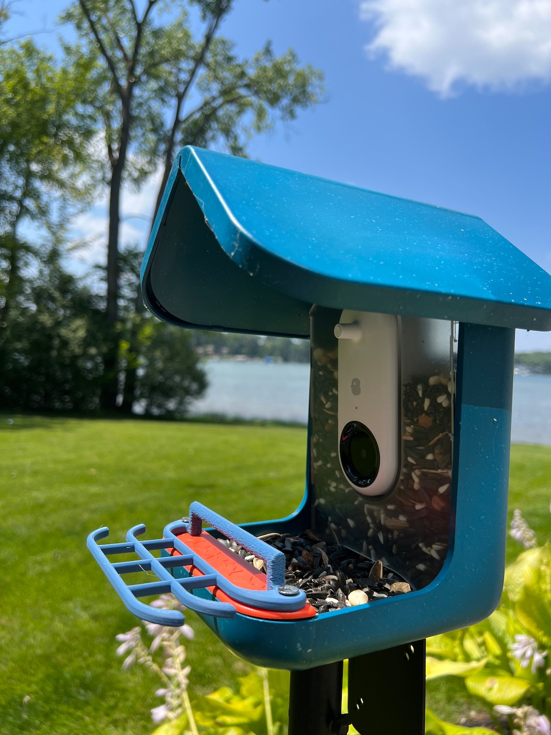 Double Perch for Bird Buddy Feeder (medium Blue) - Etsy