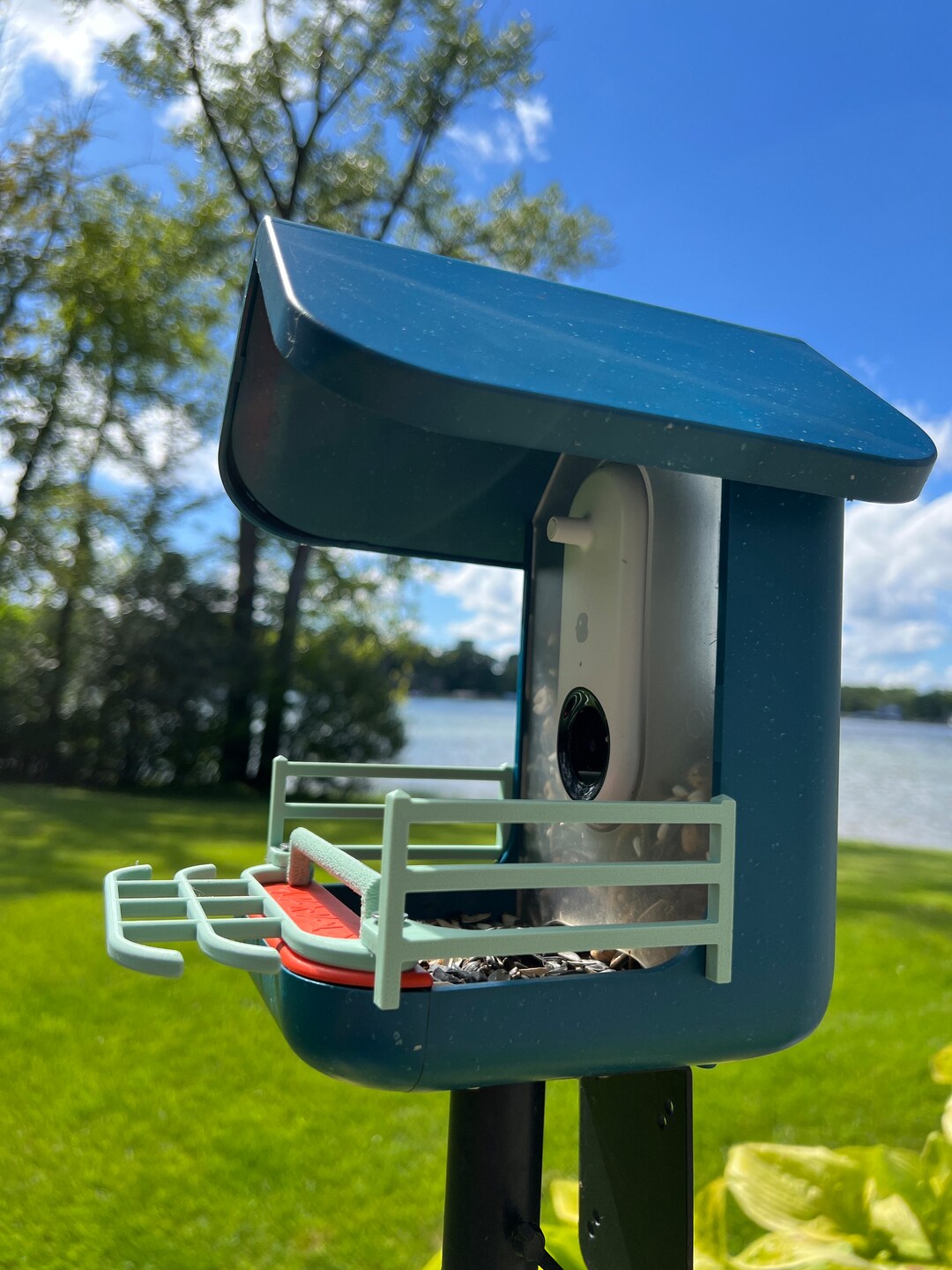 Bird Buddy Country Fence & Double Perch Combo light Green - Etsy