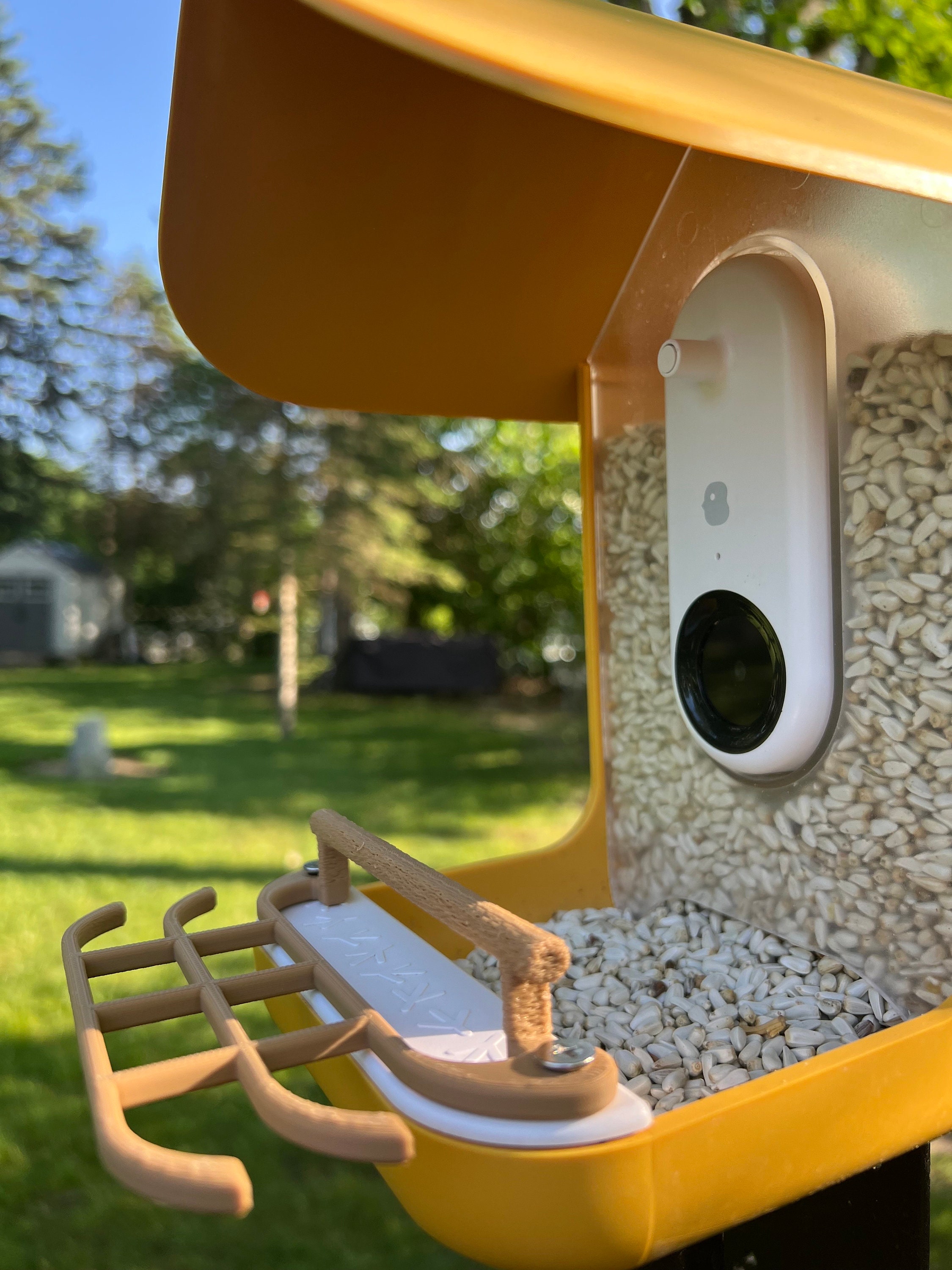 Double Perch for Bird Buddy Feeder (tan) - Etsy