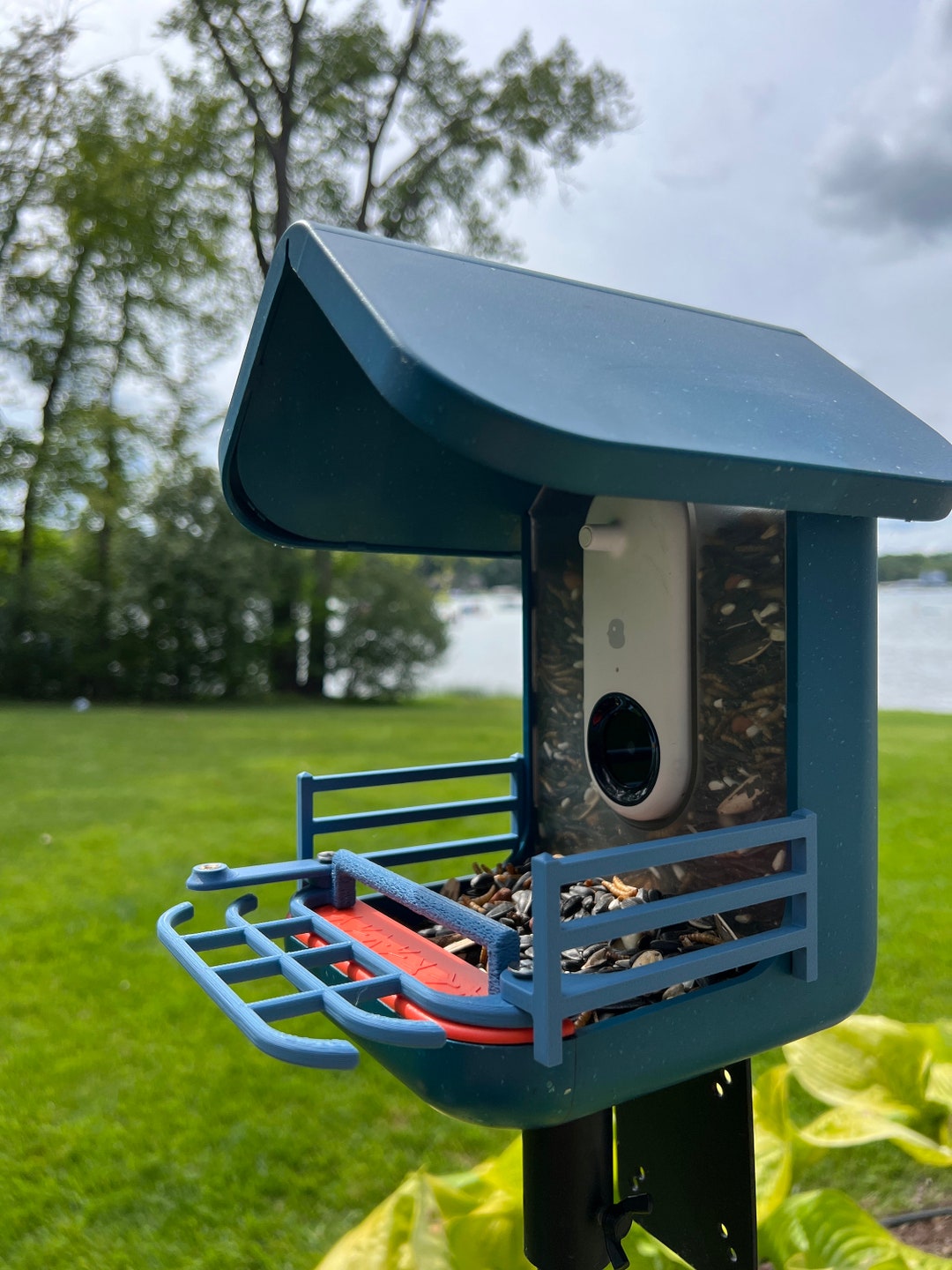 Country Fence Accessory Package for Bird Buddy Feeder - No Suet Ball ...