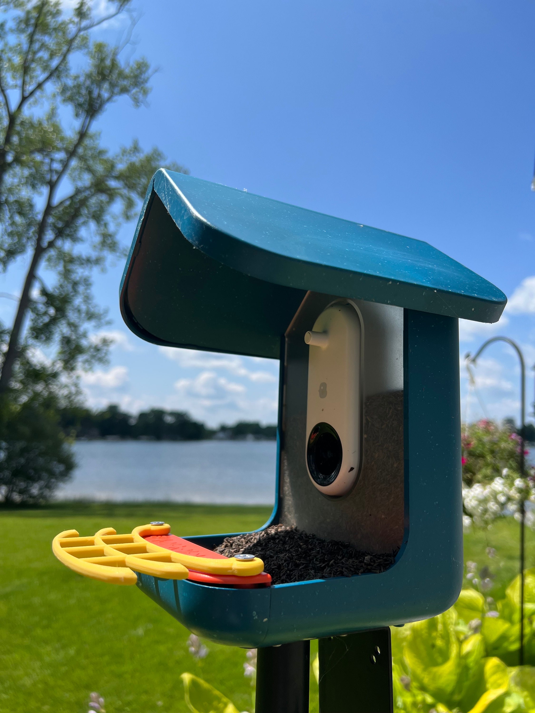 Curved Perch for Bird Buddy Feeder (yellow) - Etsy