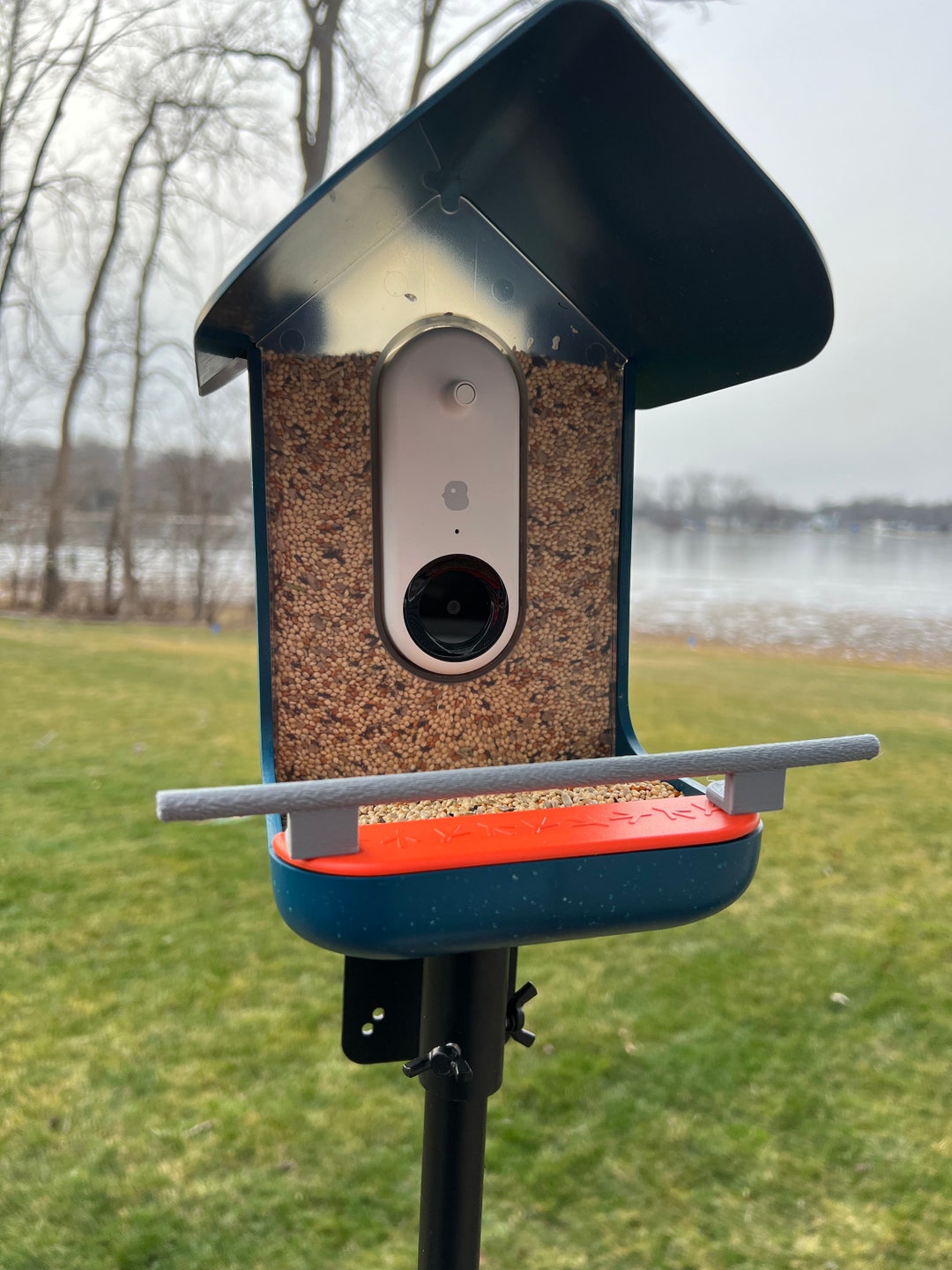 Bird Buddy Perch With Wood Grain Texture in Light Gray - Etsy