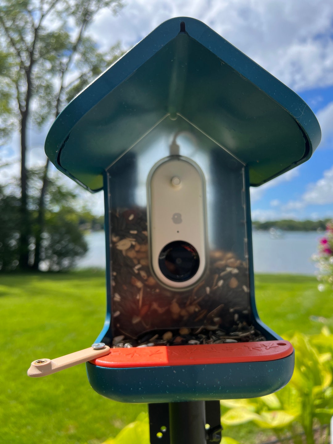Suet Ball Extender for Bird Buddy Feeder (tan) - Etsy