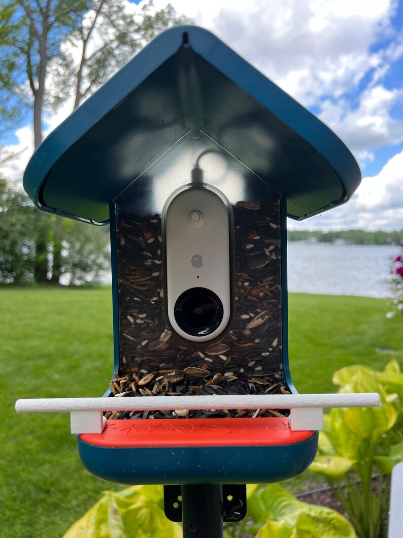 Straight Perch With Wood Grain Texture for Bird Buddy Feeder (white) - Etsy