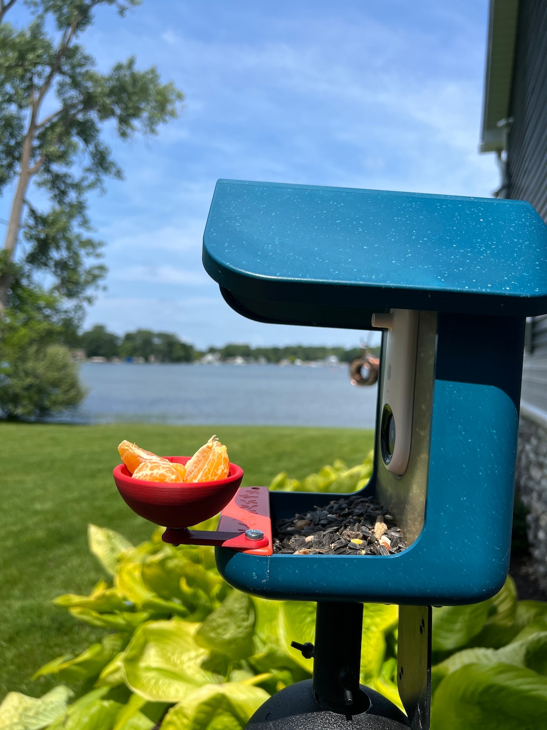 Bird Buddy Fruit Jelly Nut Bowl With Extender red - Etsy