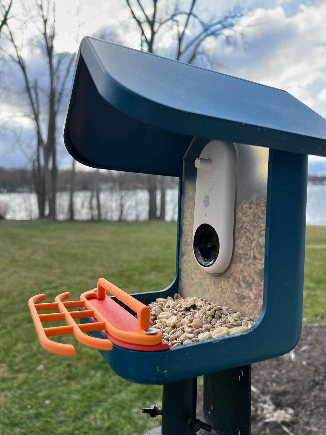 Double Perch for Bird Buddy Feeder (bright Orange) - Etsy