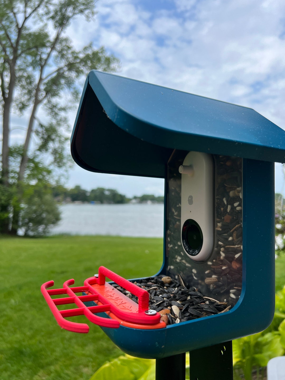 Double Perch for Bird Buddy Feeder (red) - Etsy
