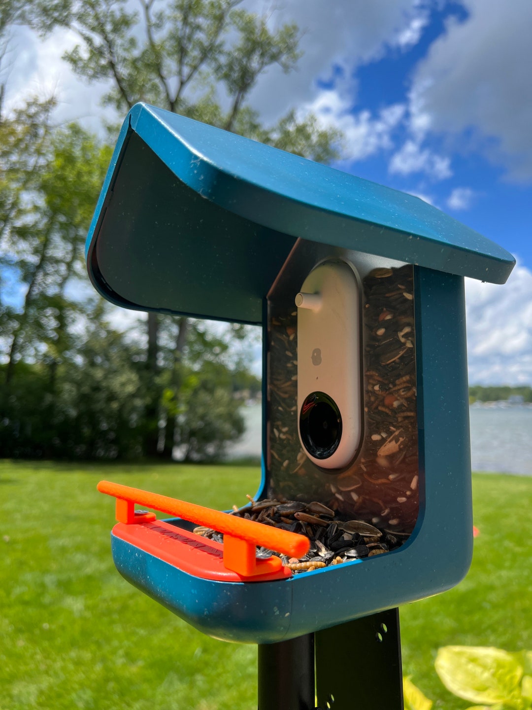 Straight Perch With Wood Grain Texture for Bird Buddy Feeder (bright ...