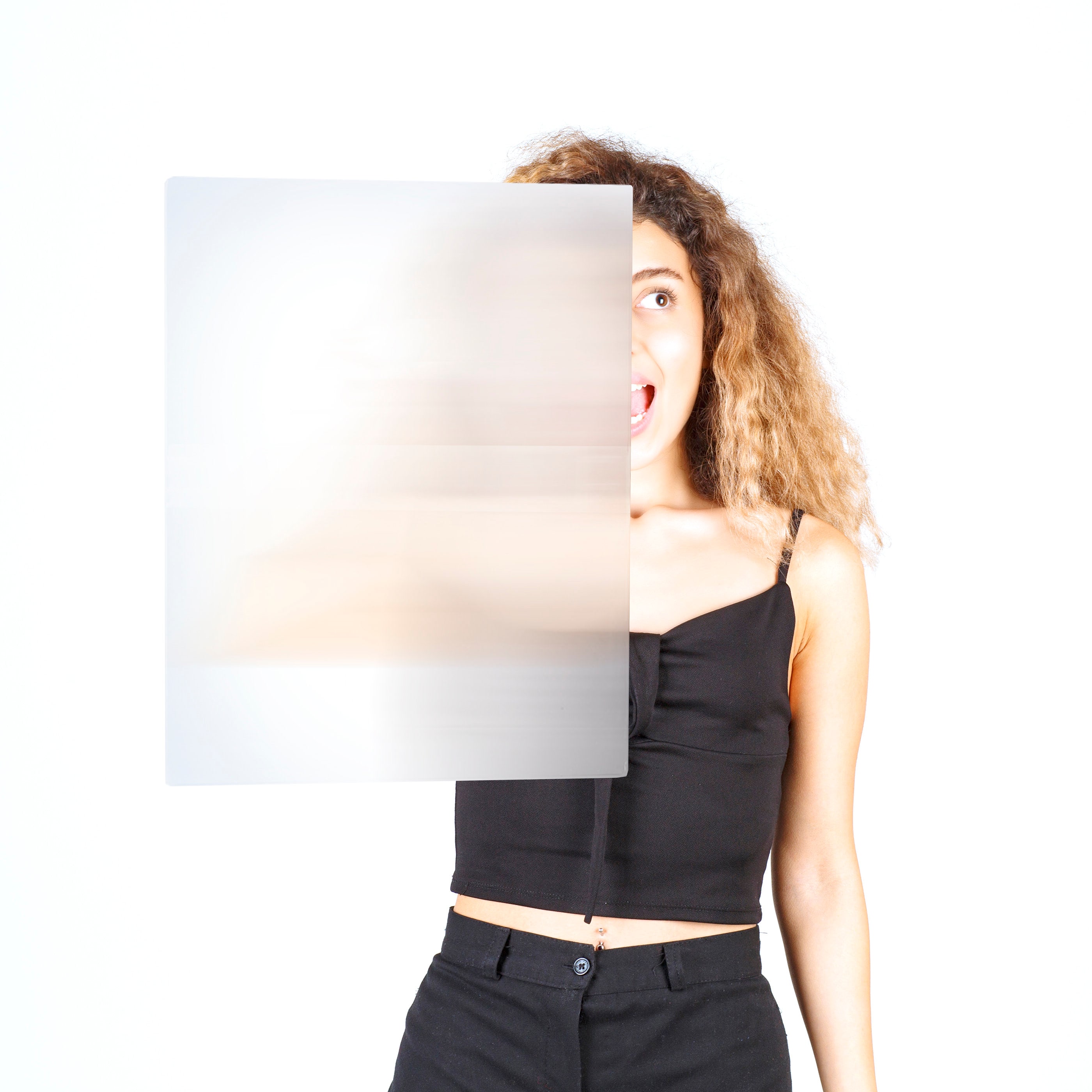 Invisibility Shield With Handles - 17"x13" - Shield Made With 90LPI ...