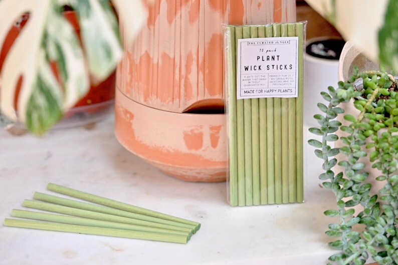 Plant Wick Sticks 10-pack - Etsy
