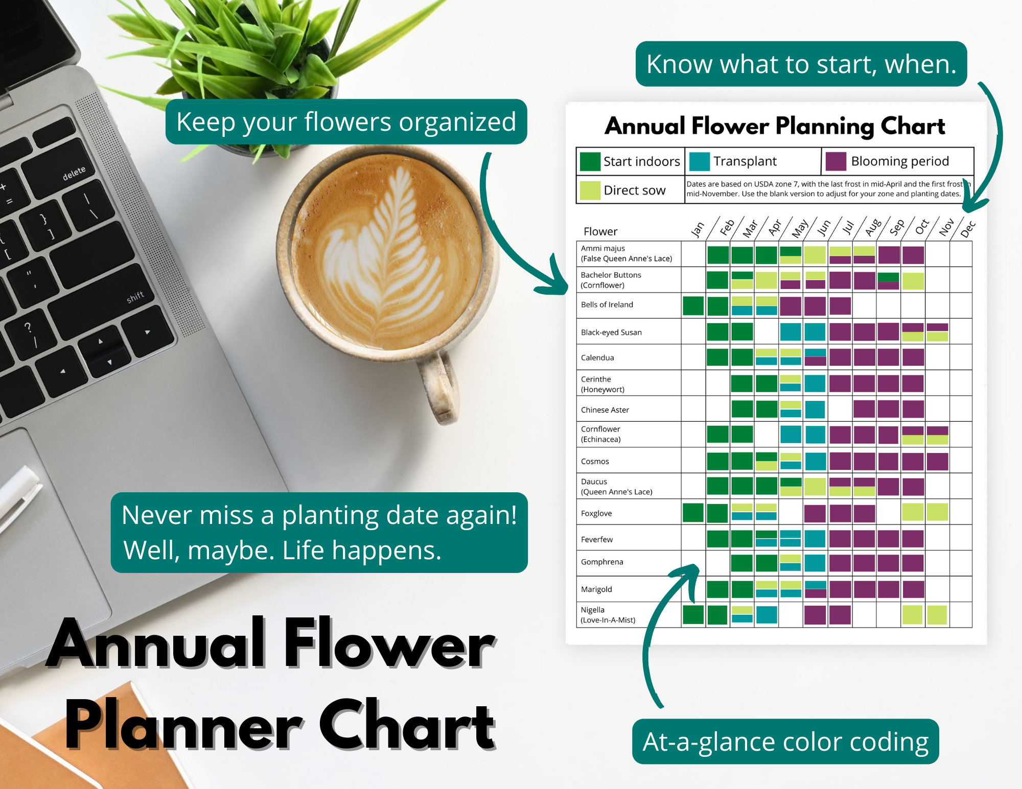 Annual Cut Flower Planner Chart | Seed Starting Schedule | Seed Journal ...