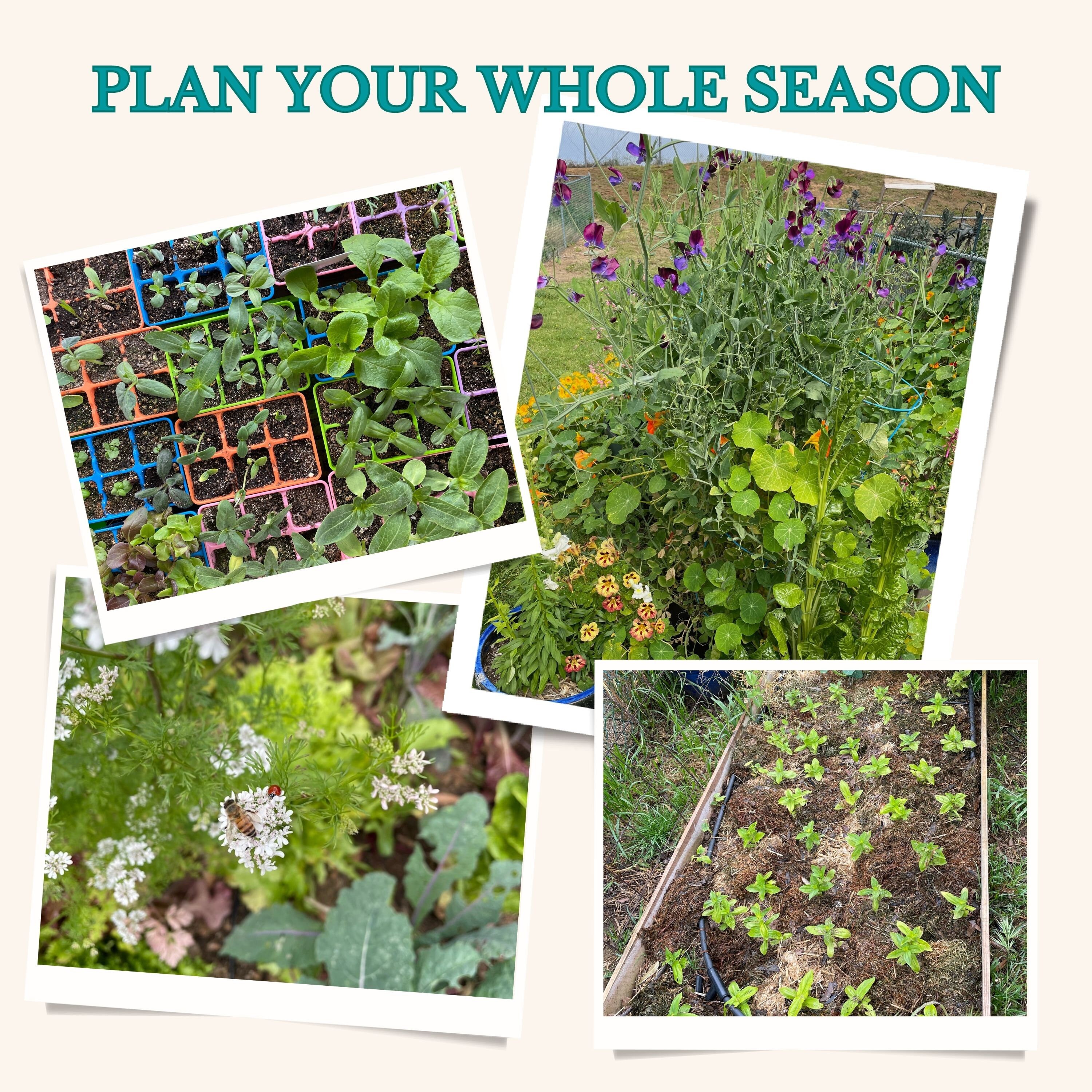 Seed Starting Cheat Sheet Garden Planner Printable, Digital Download ...